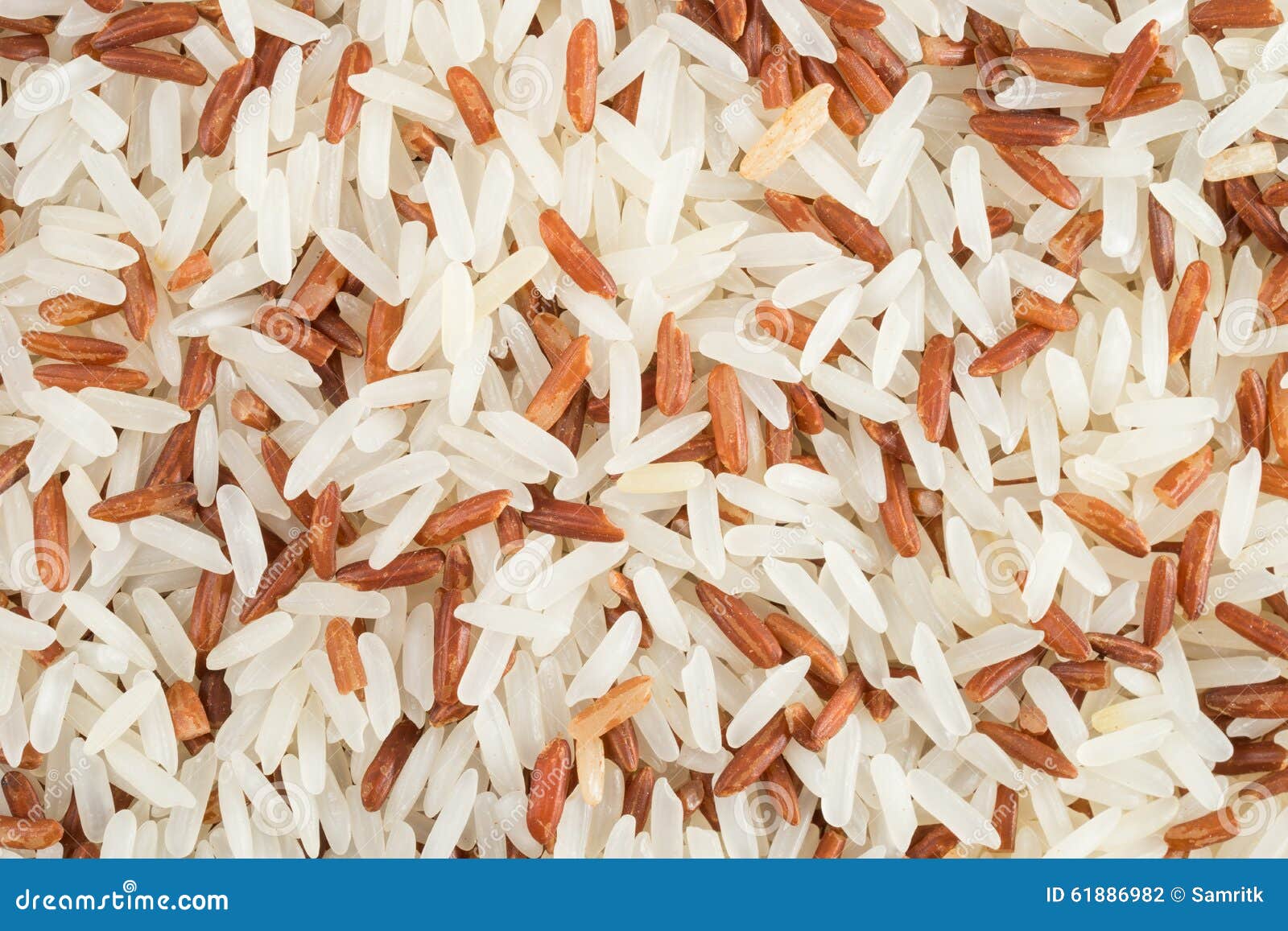 Rice stock photo. Image of long, closeup, meal, vegetarian - 61886982