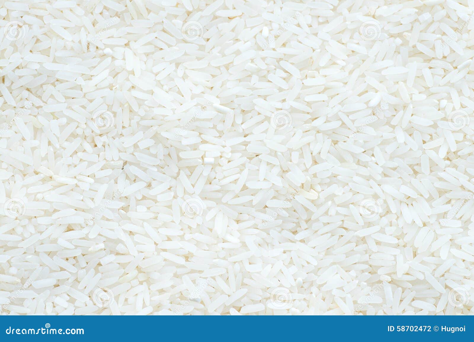 Rice grain stock photo. Image of kernel, closeup, chinese - 58702472