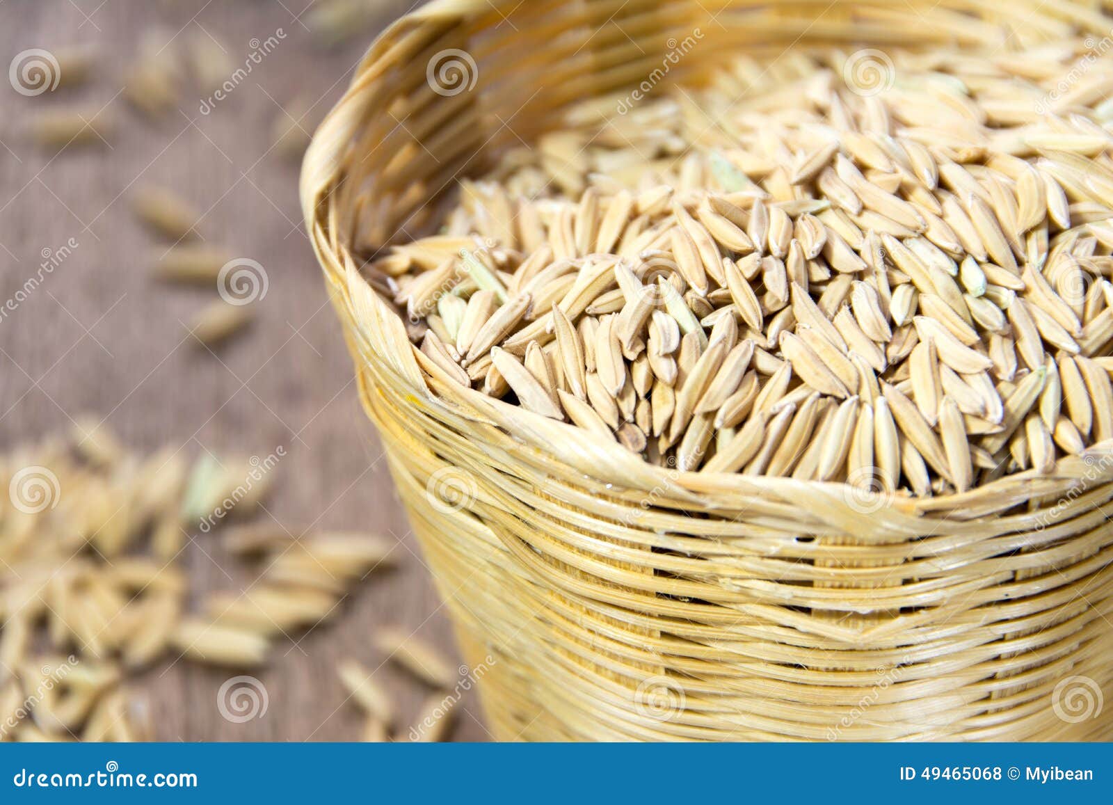 Rice grain in basket stock photo. Image of harvest, field - 49465068
