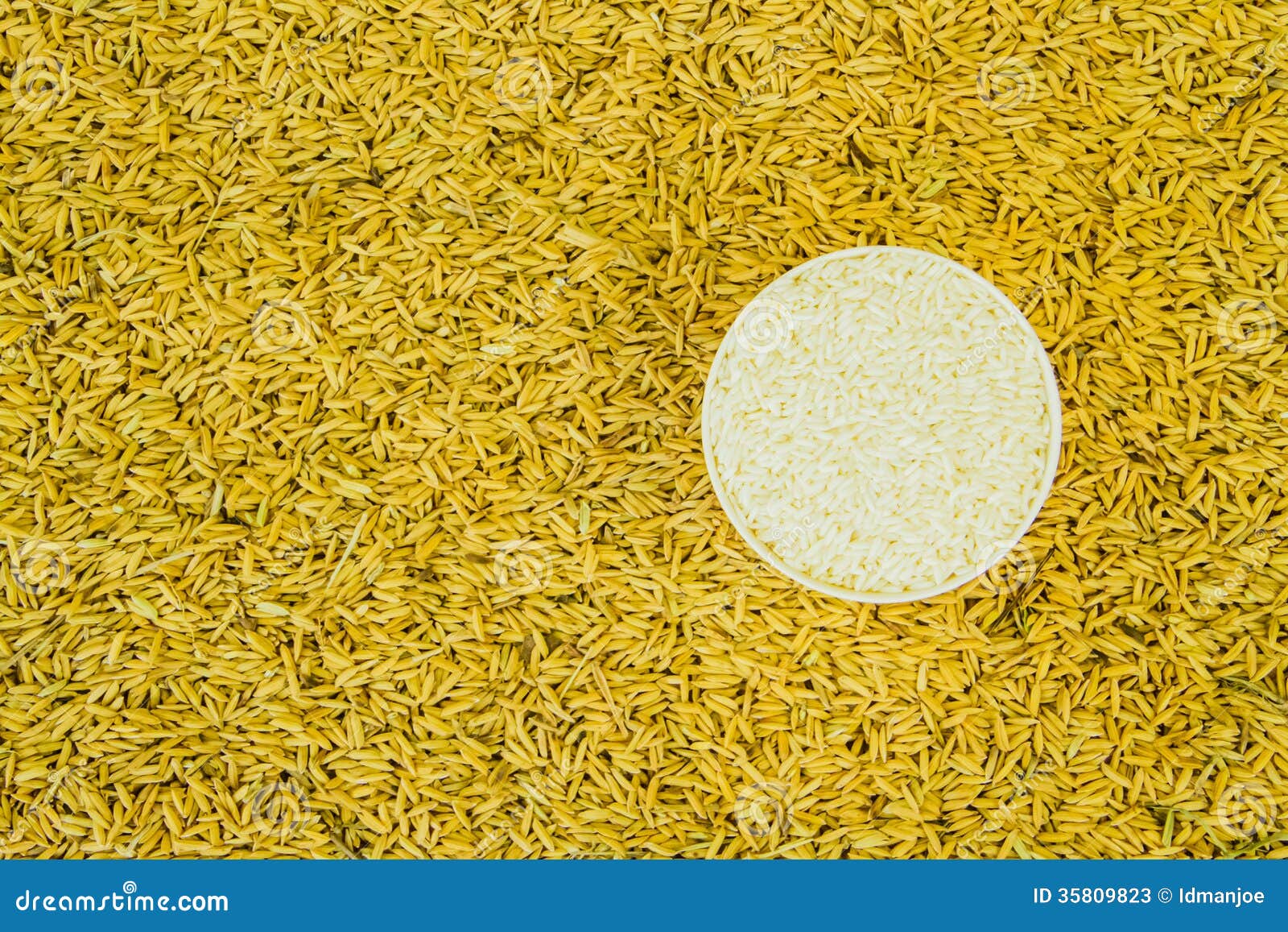 Rice grain stock image. Image of dinner, closeup, abstract - 35809823