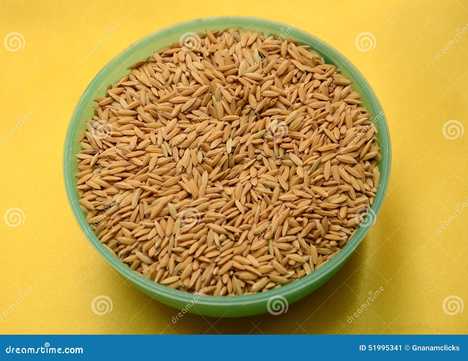 Rice grain stock image. Image of nature, background, food - 51995341