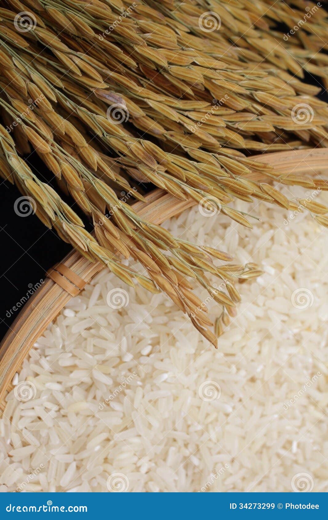 Rice grain stock image. Image of agriculture, asia, healthy - 34273299