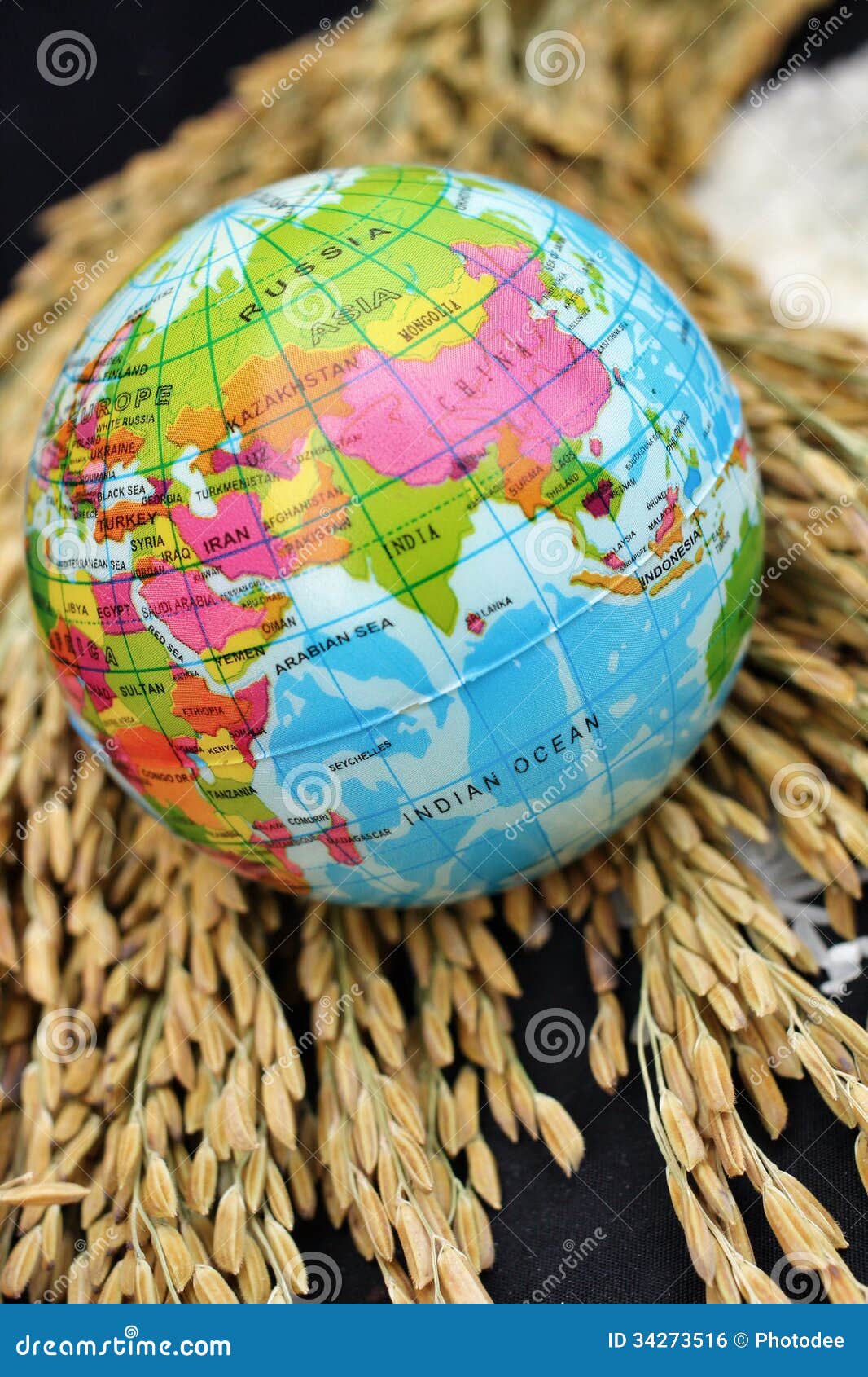 Rice grain stock photo. Image of country, foliage, farming - 34273516