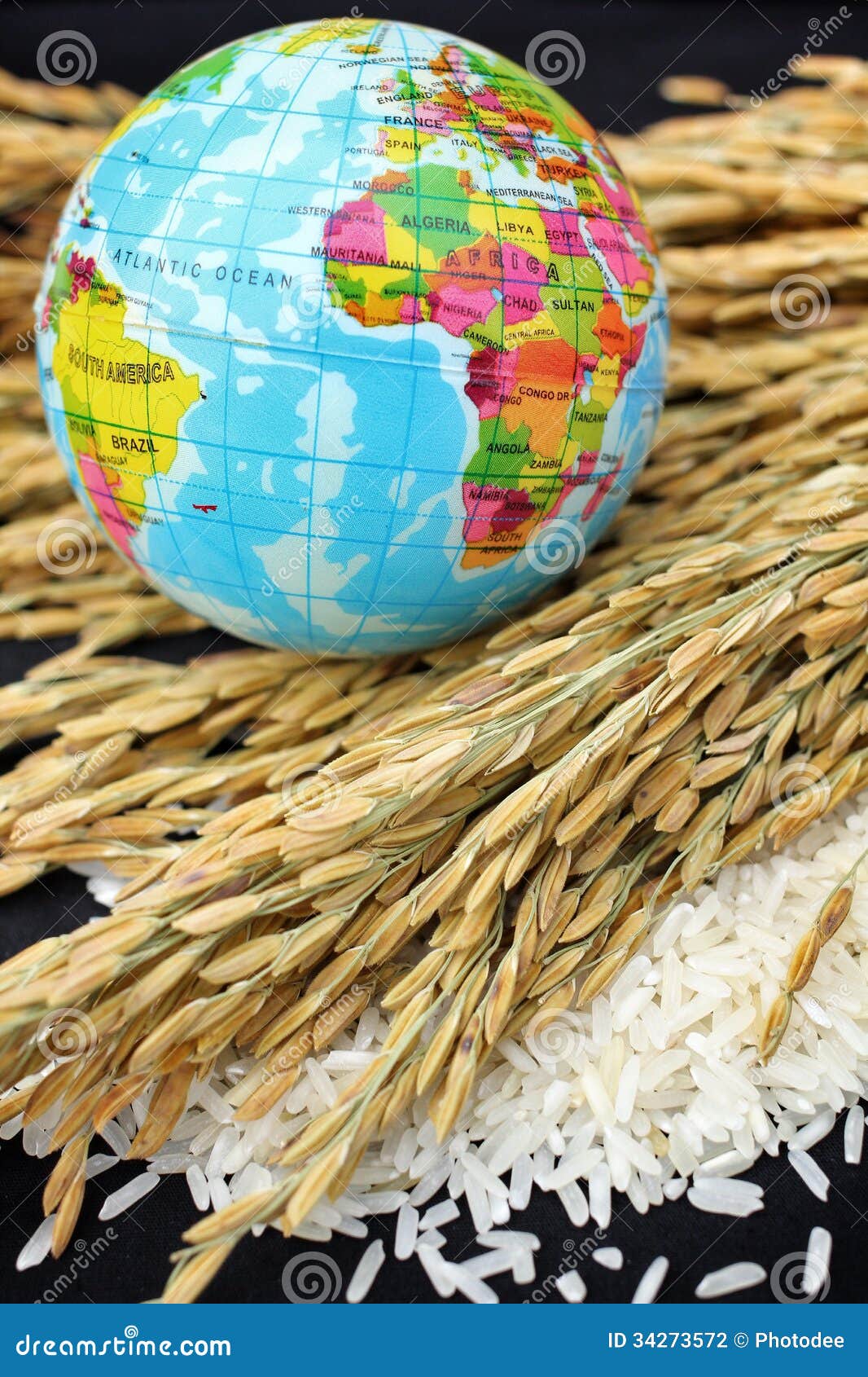 Rice grain stock photo. Image of farmland, globe, gold - 34273572