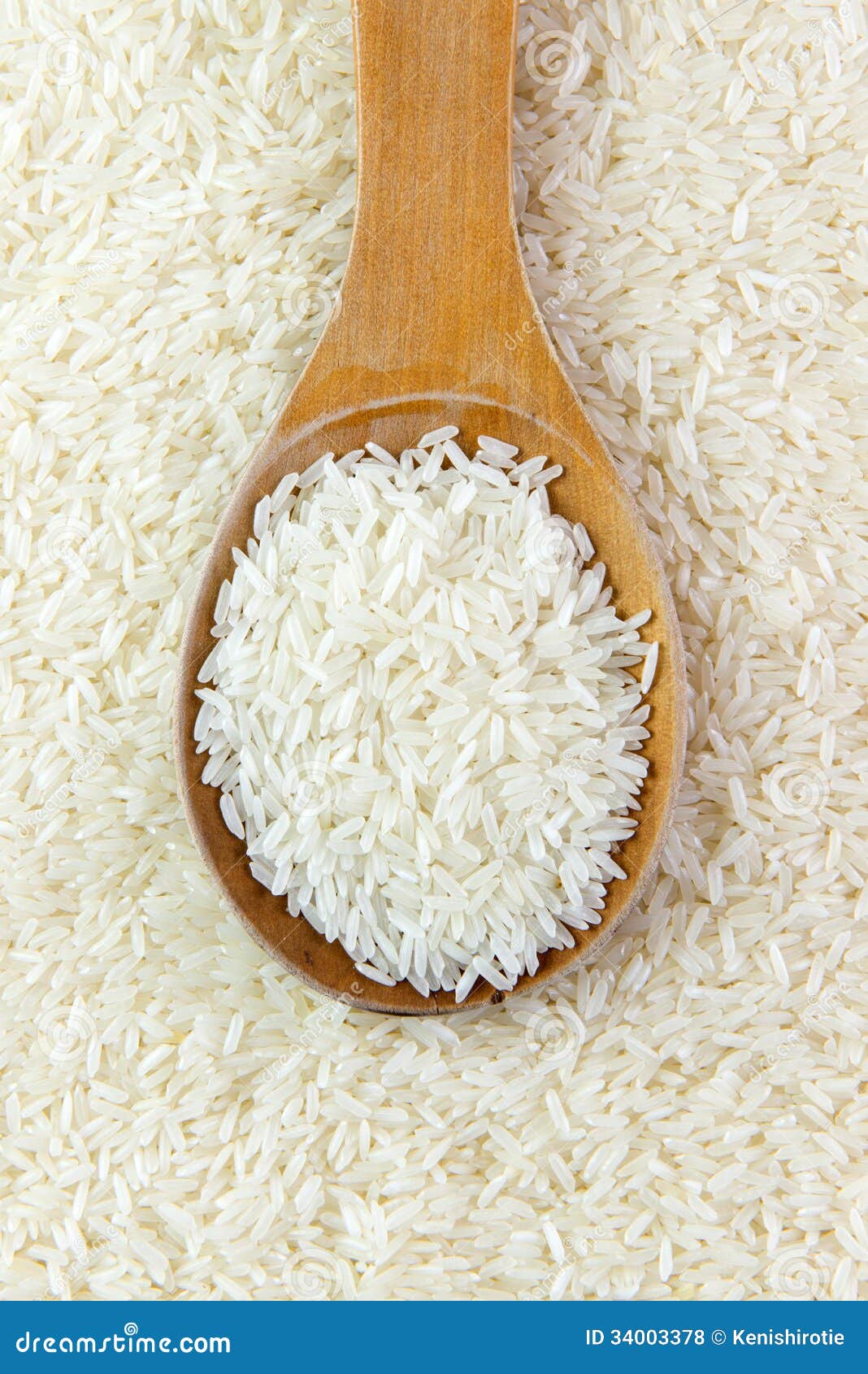 Rice grain stock photo. Image of harvesting, leaves, isolated - 34003378