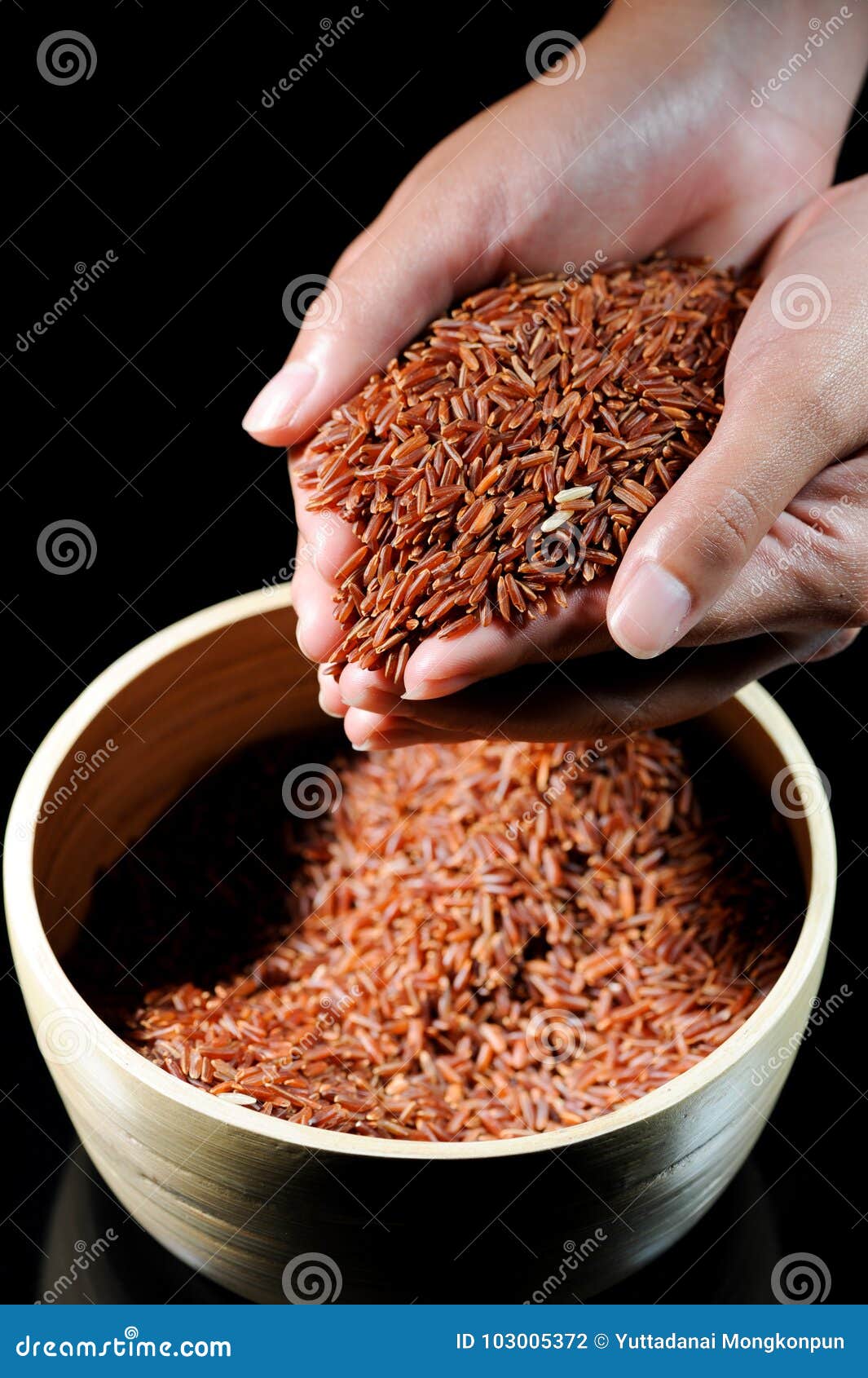 Rice grain stock photo. Image of woman, ingredient, organic - 103005372
