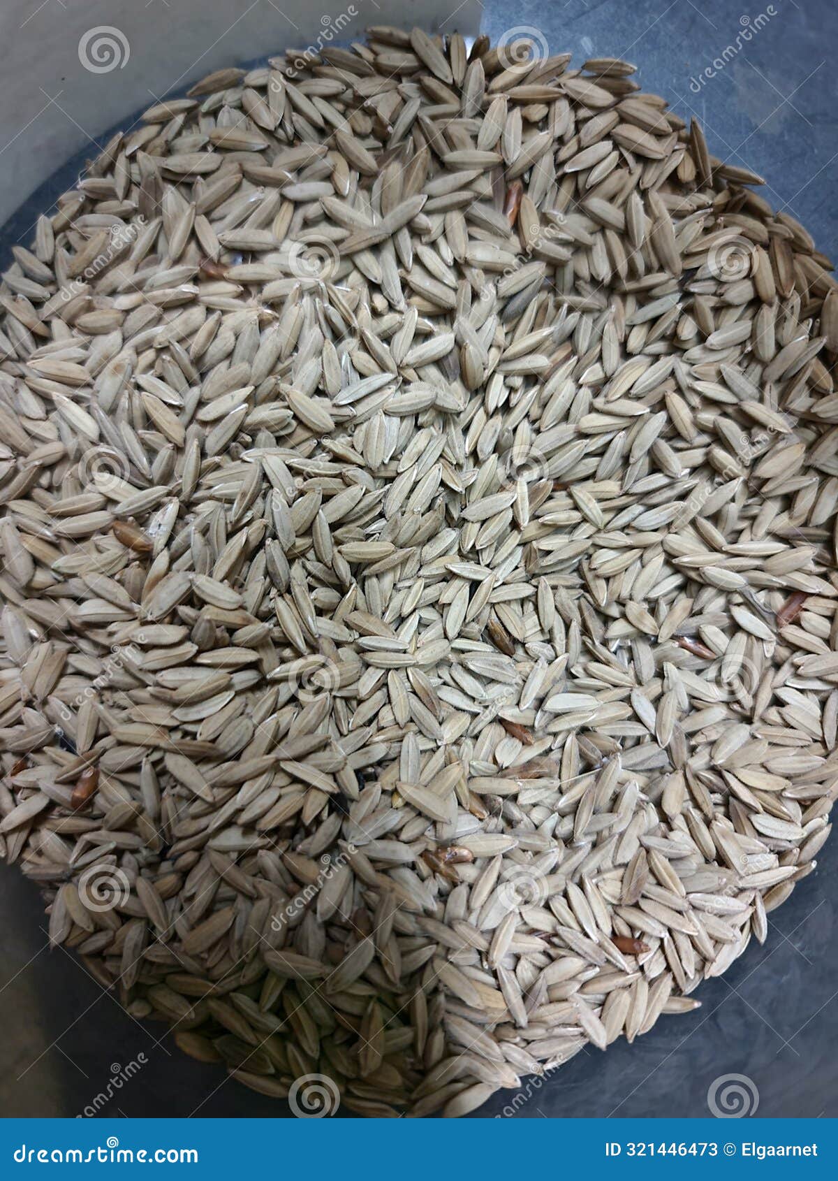 Rice Grain Inside Plastic Jar Stock Image - Image of rice, nature ...