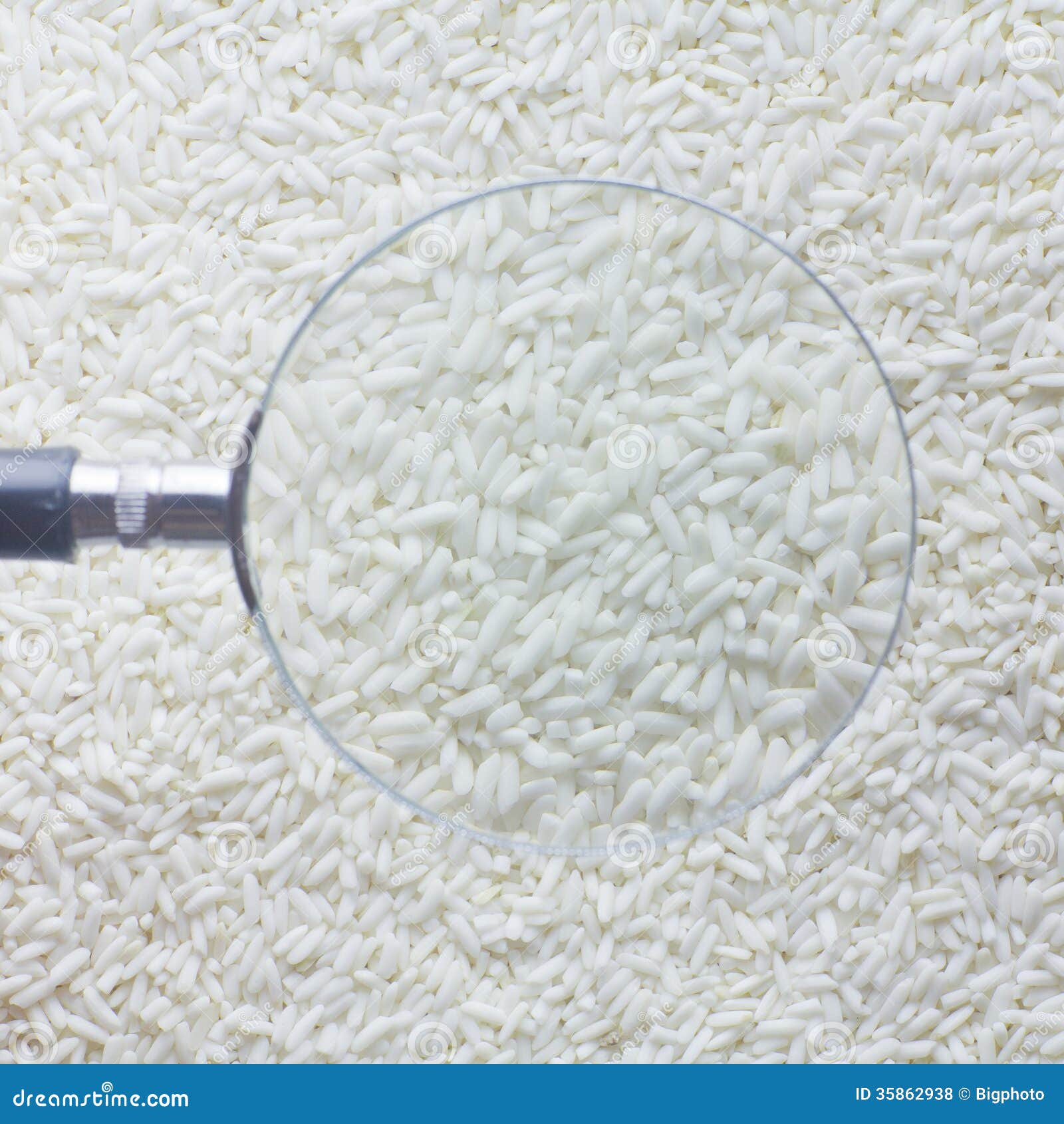 Rice Grain with Magnifying Glass Stock Photo - Image of crop, healthy ...
