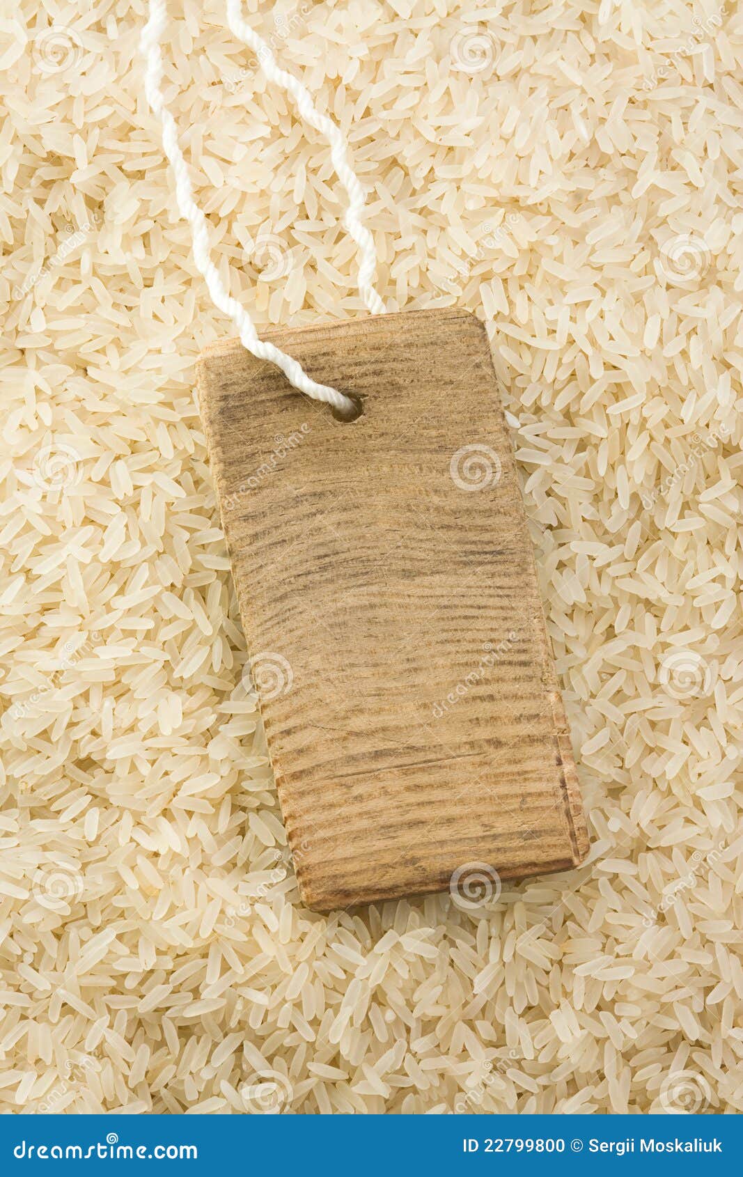 Rice grain and price tag stock photo. Image of nature - 22799800