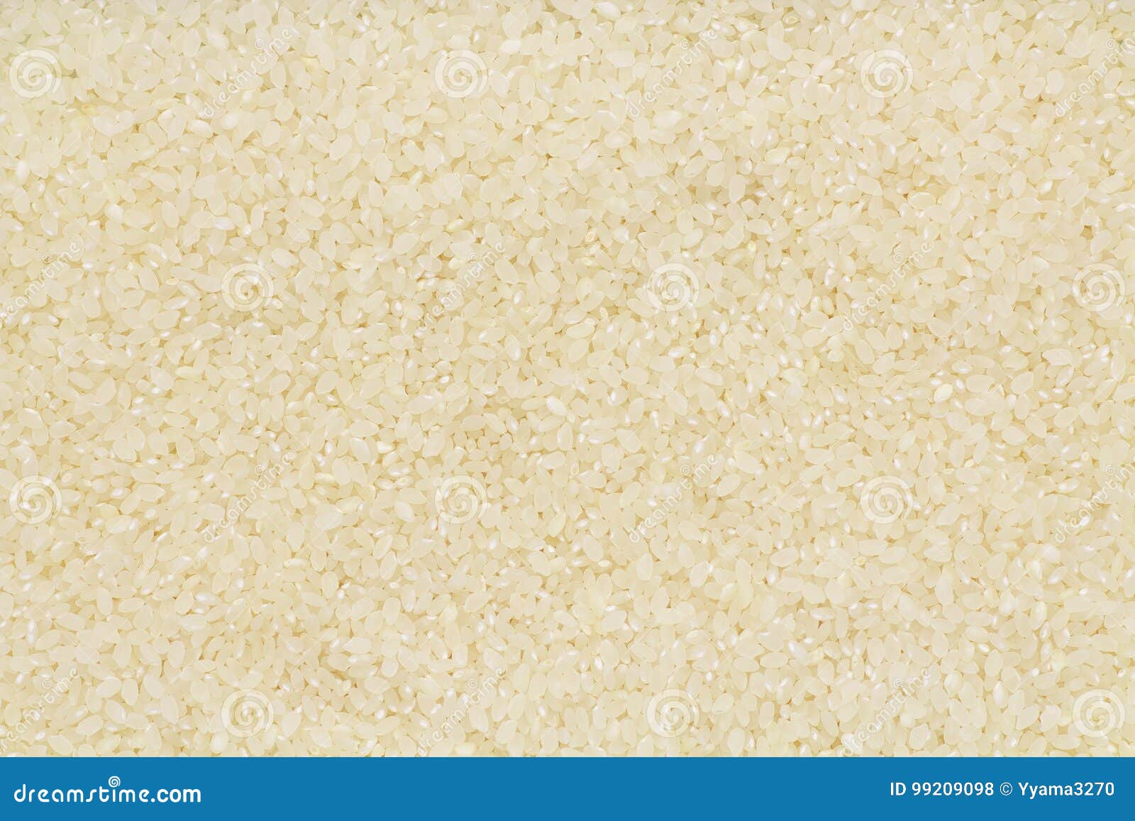 Rice texture stock photo. Image of textures, food, backgrounds - 99209098