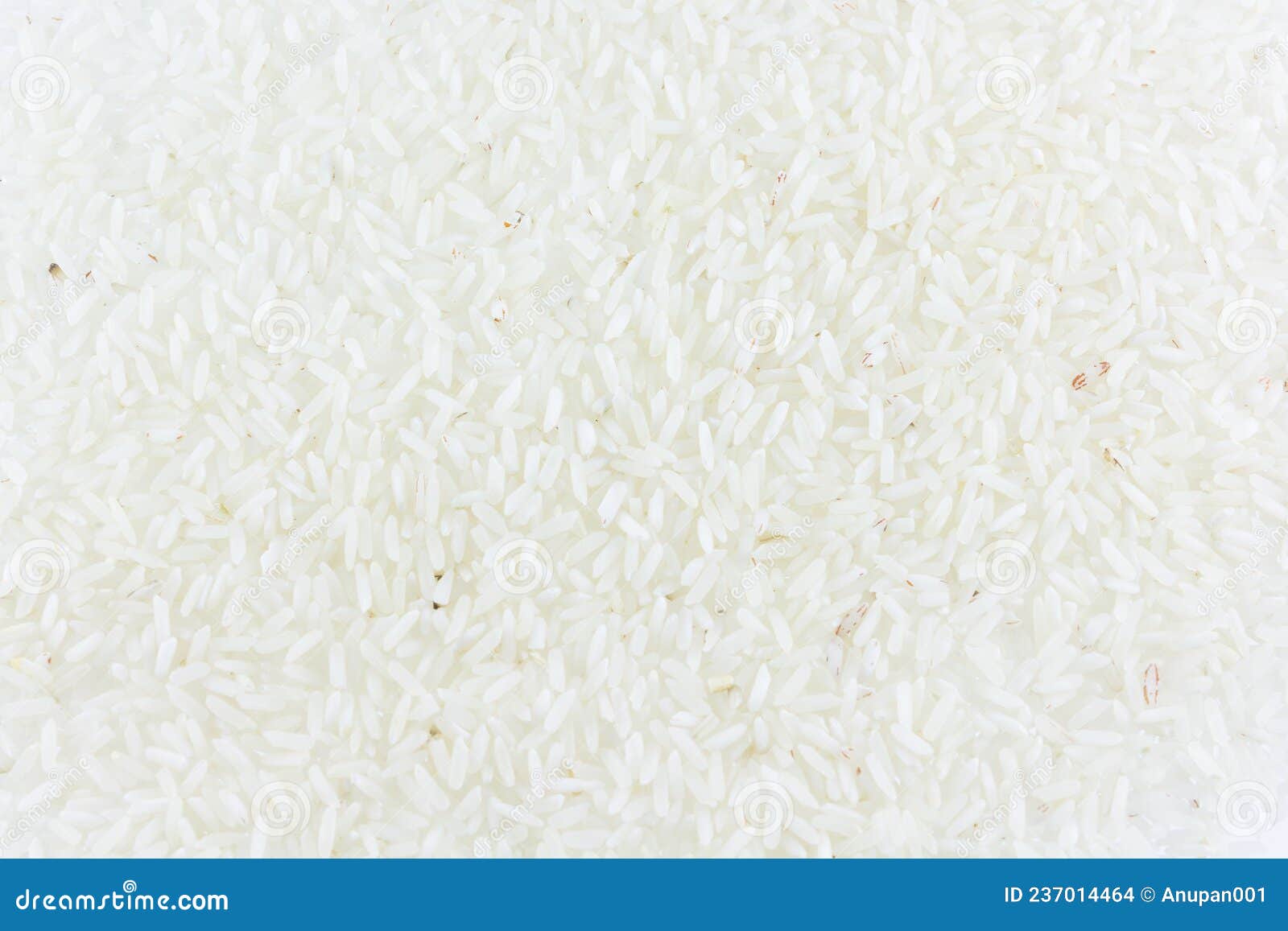 Rice Grain on White Background Stock Photo - Image of rice, asian ...