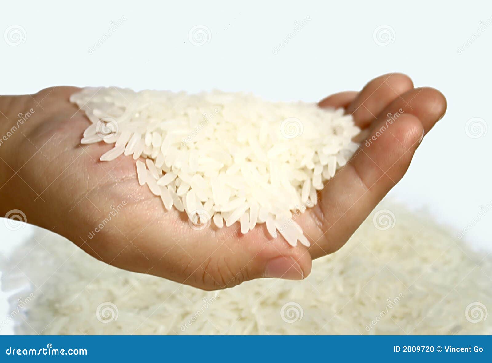 Rice grains stock photo. Image of asia, concept, grains - 2009720