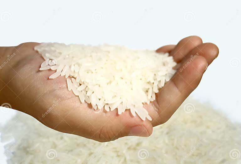 Rice grains stock photo. Image of asia, concept, grains - 2009720