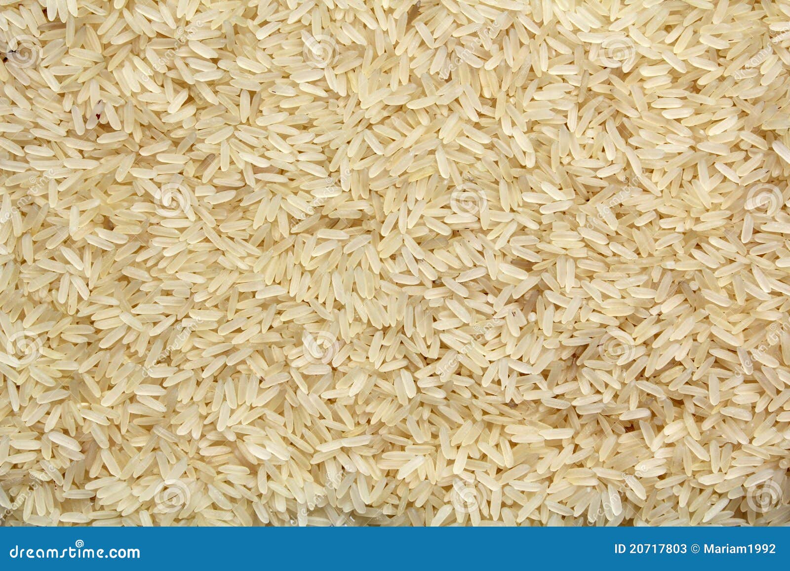 Rice Grains Stock Photo | CartoonDealer.com #20717803