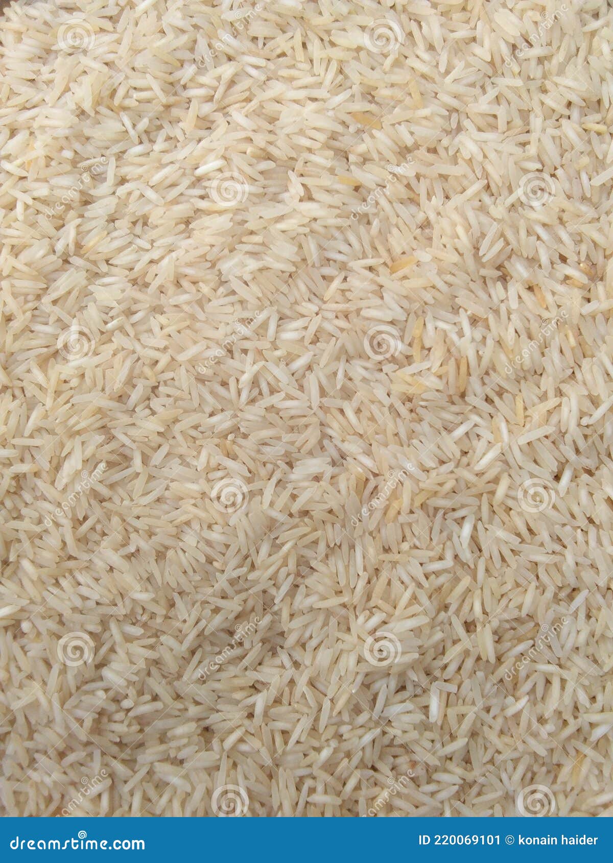 Rice grains stock image. Image of food, rice, agriculture - 220069101