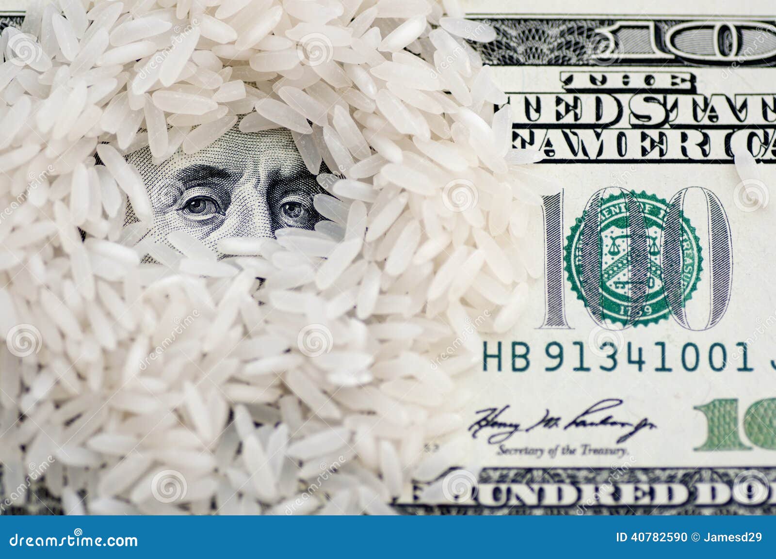 Rice grains on bank note stock photo. Image of hunger - 40782590