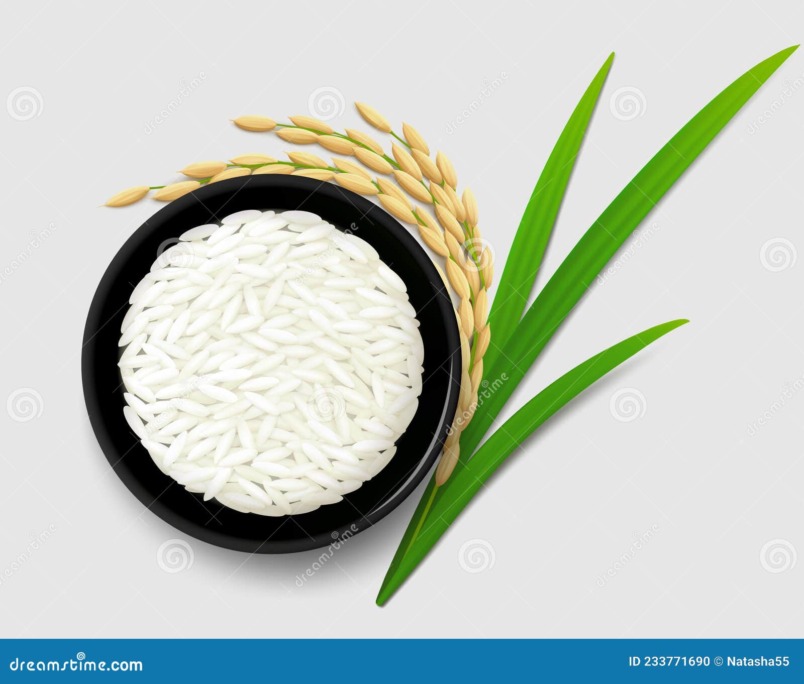 Bowl of White Long Grain Rice with Ripe Ear. Top View Stock Vector ...