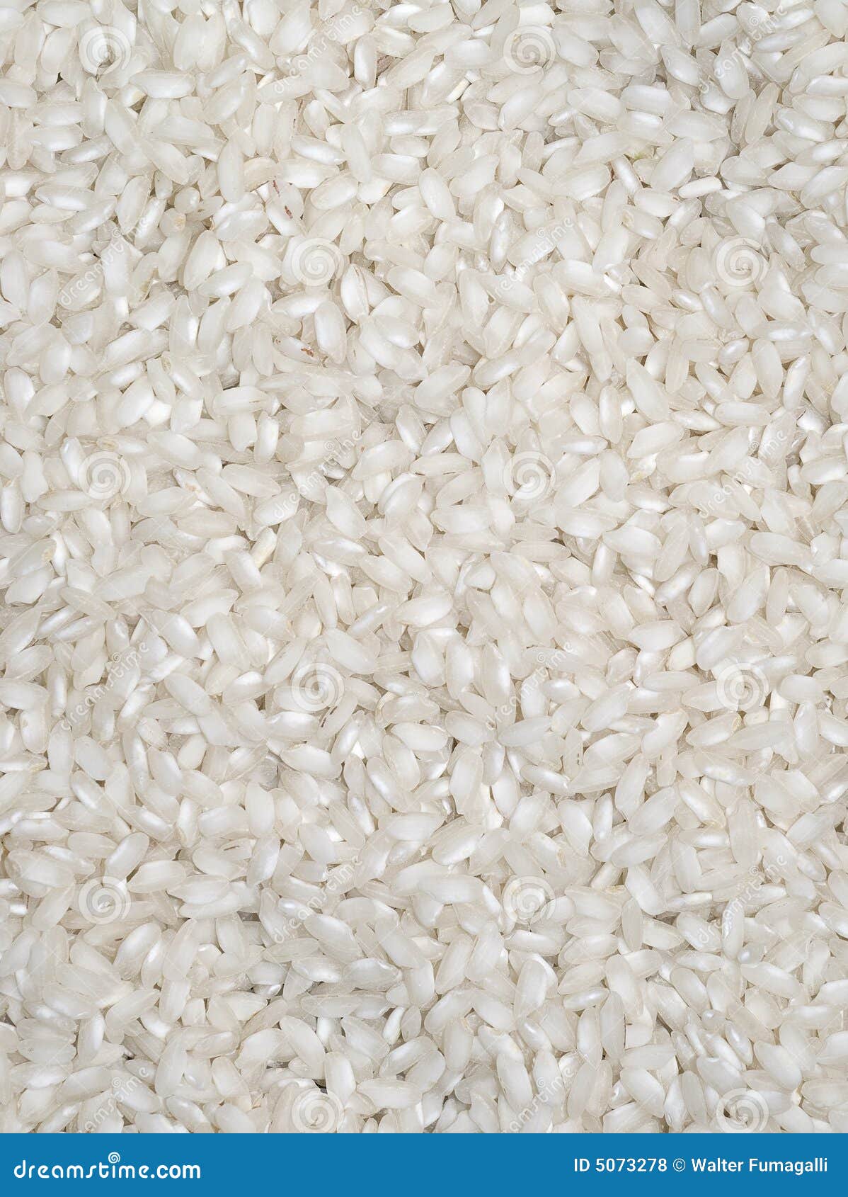 Rice grains close-up stock photo. Image of wallpaper, appetizing - 5073278