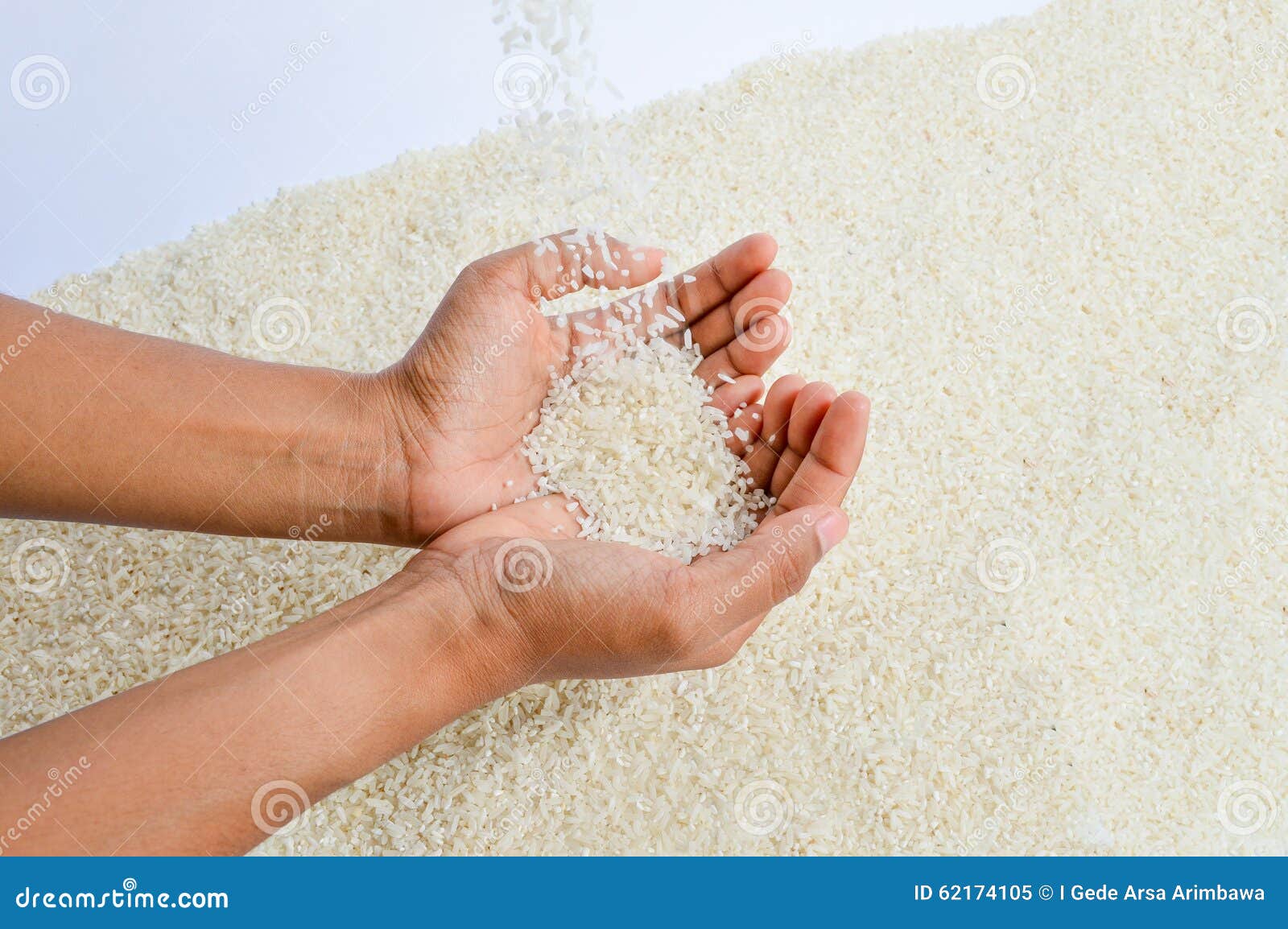 Rice Grains Fall stock image. Image of adult, grains - 62174105
