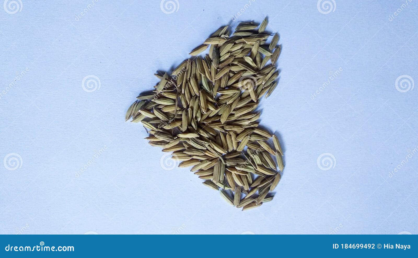 Rice grains form love stock photo. Image of rice, grains - 184699492