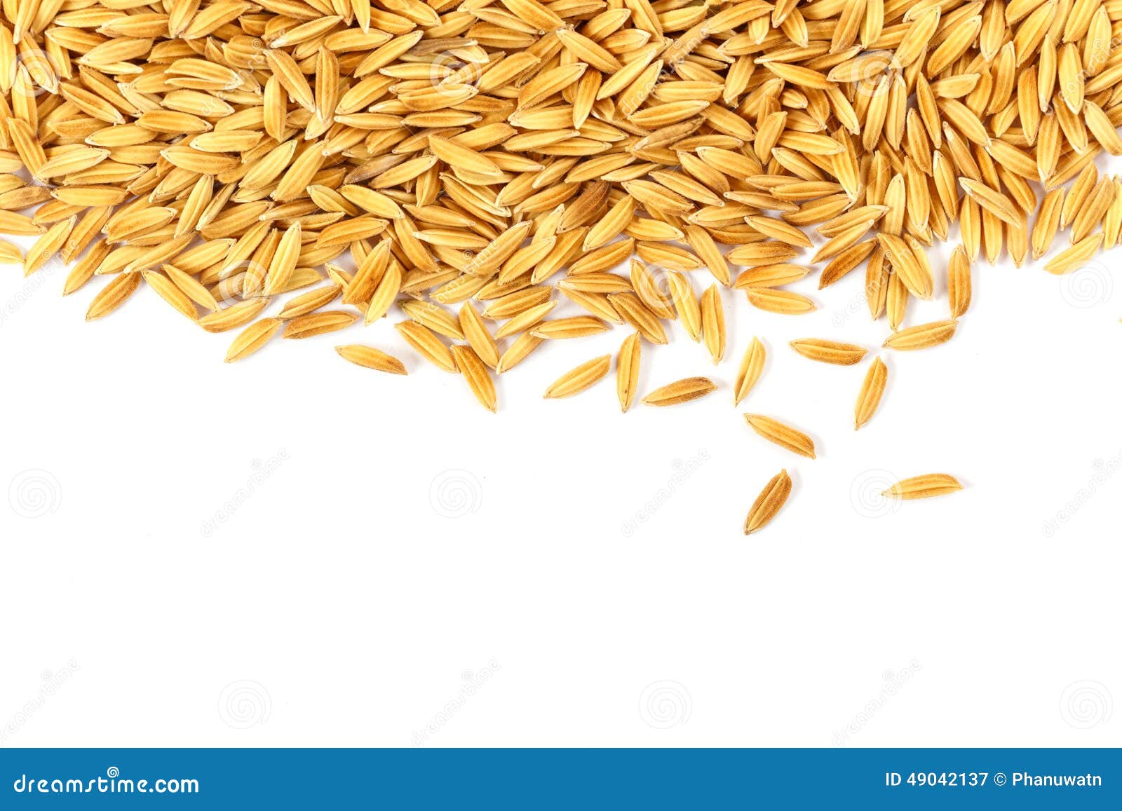 Rice Grains Isolated on White Stock Image - Image of rice, background ...