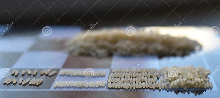A Geometric Progression of Rice on a Chess Board Stock Image - Image of ...