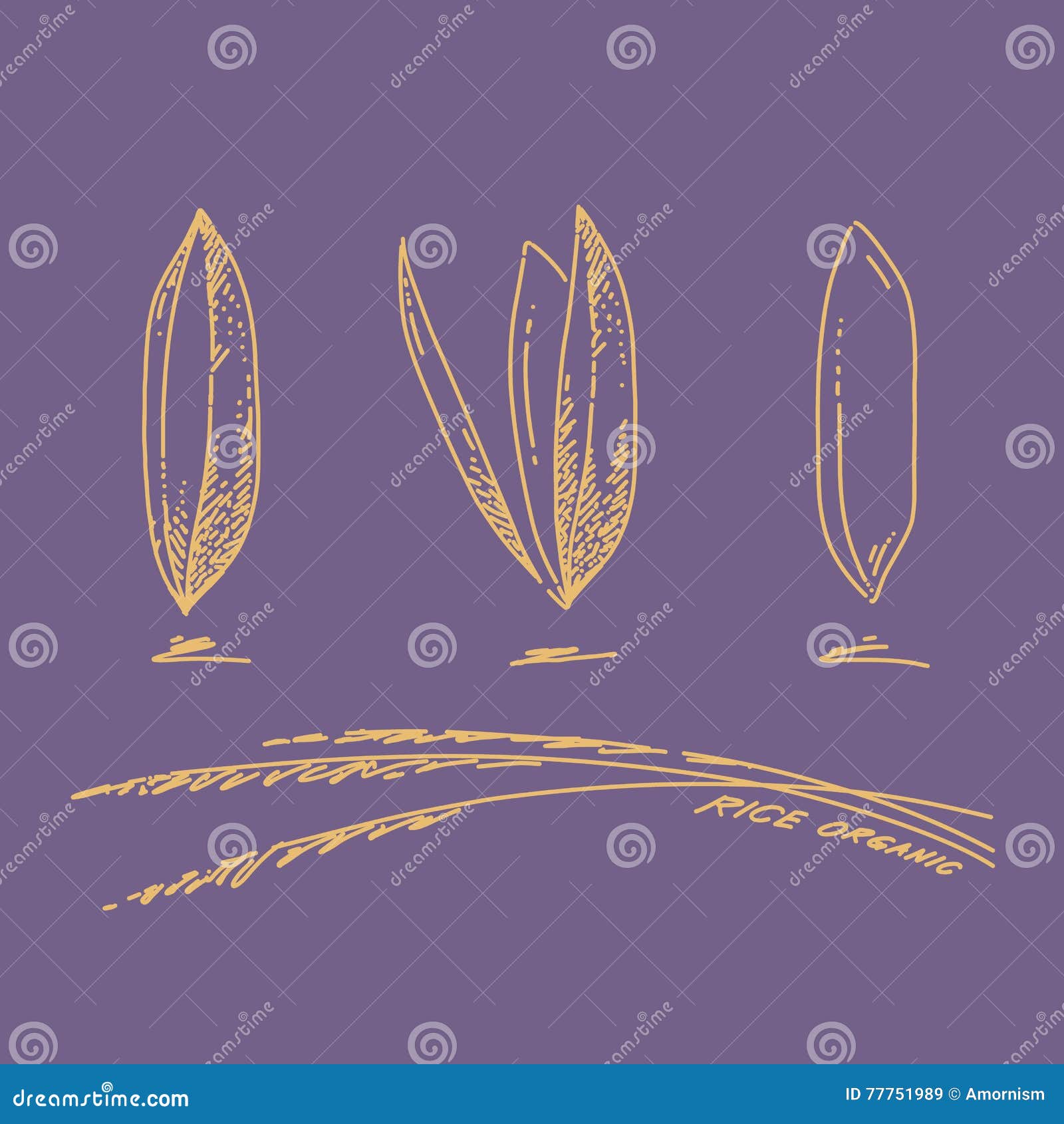 Rice Grains, Sketch Hand Drawn Stock Vector - Illustration of ...