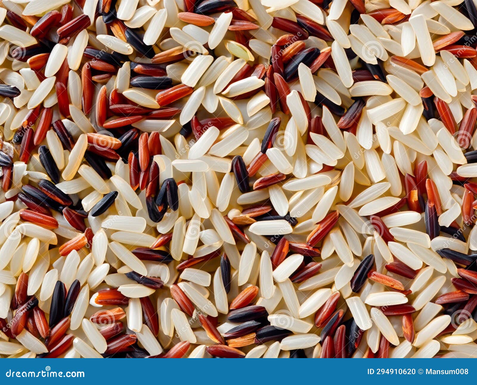 Rice Grains on the White Background Stock Illustration - Illustration ...