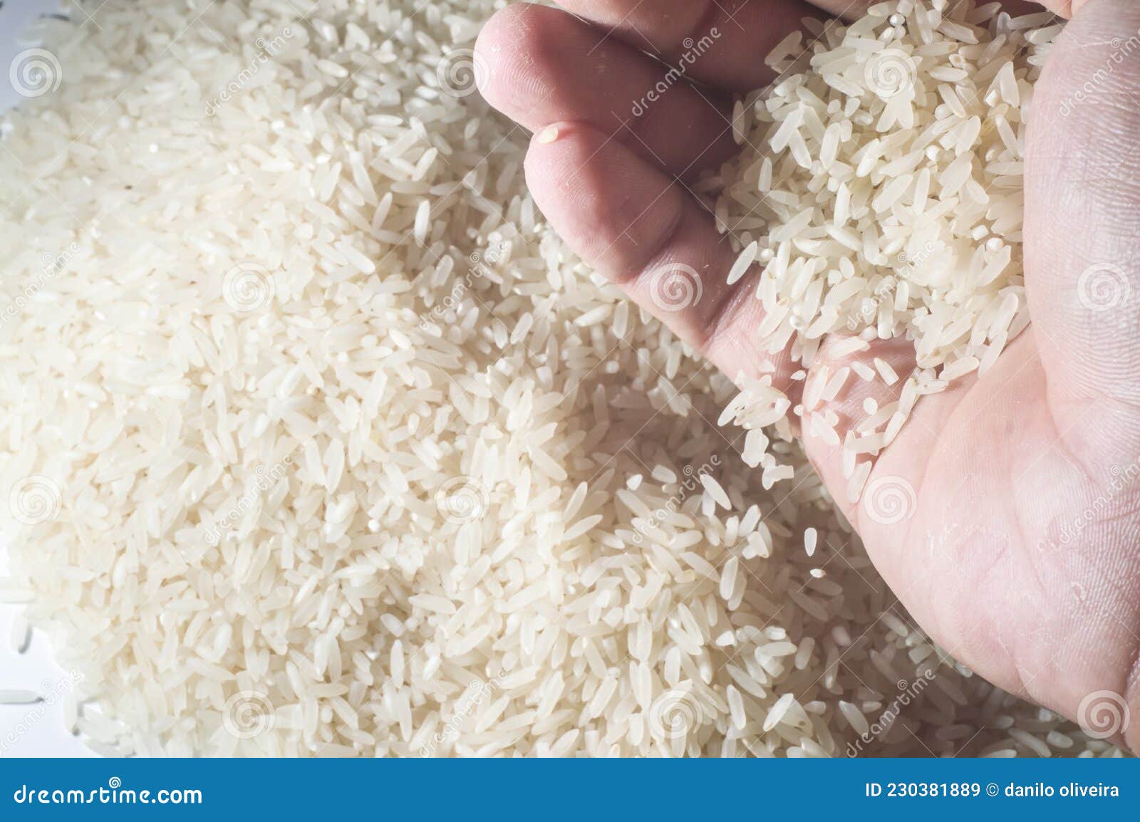 Rice Grains with White Background Hand Throwing Grains and Copy Space ...
