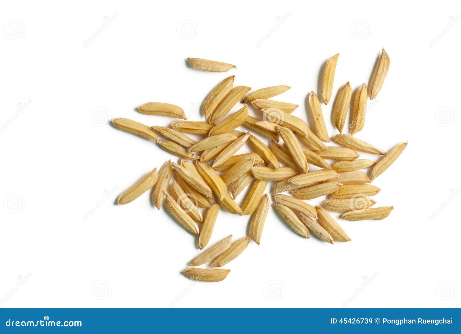 Rice grains stock image. Image of plant, rice, background - 45426739