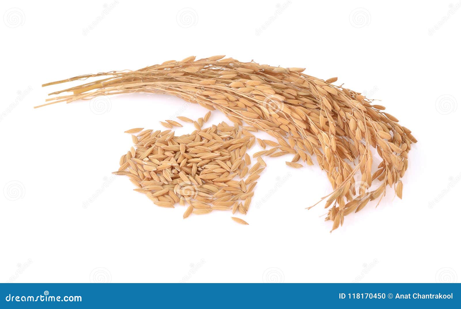 Rice Grains on White Backround Stock Photo - Image of grains, kernels ...