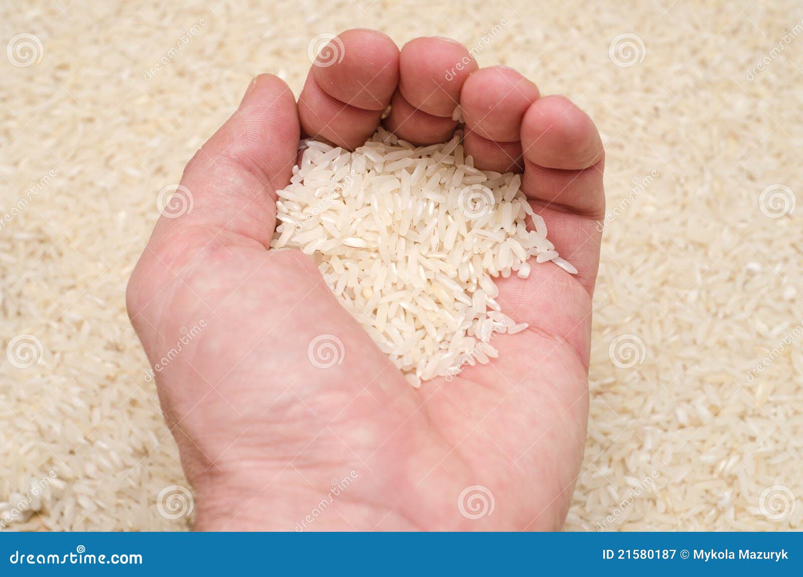 Rice in hand stock image. Image of ingredient, organic - 21580187
