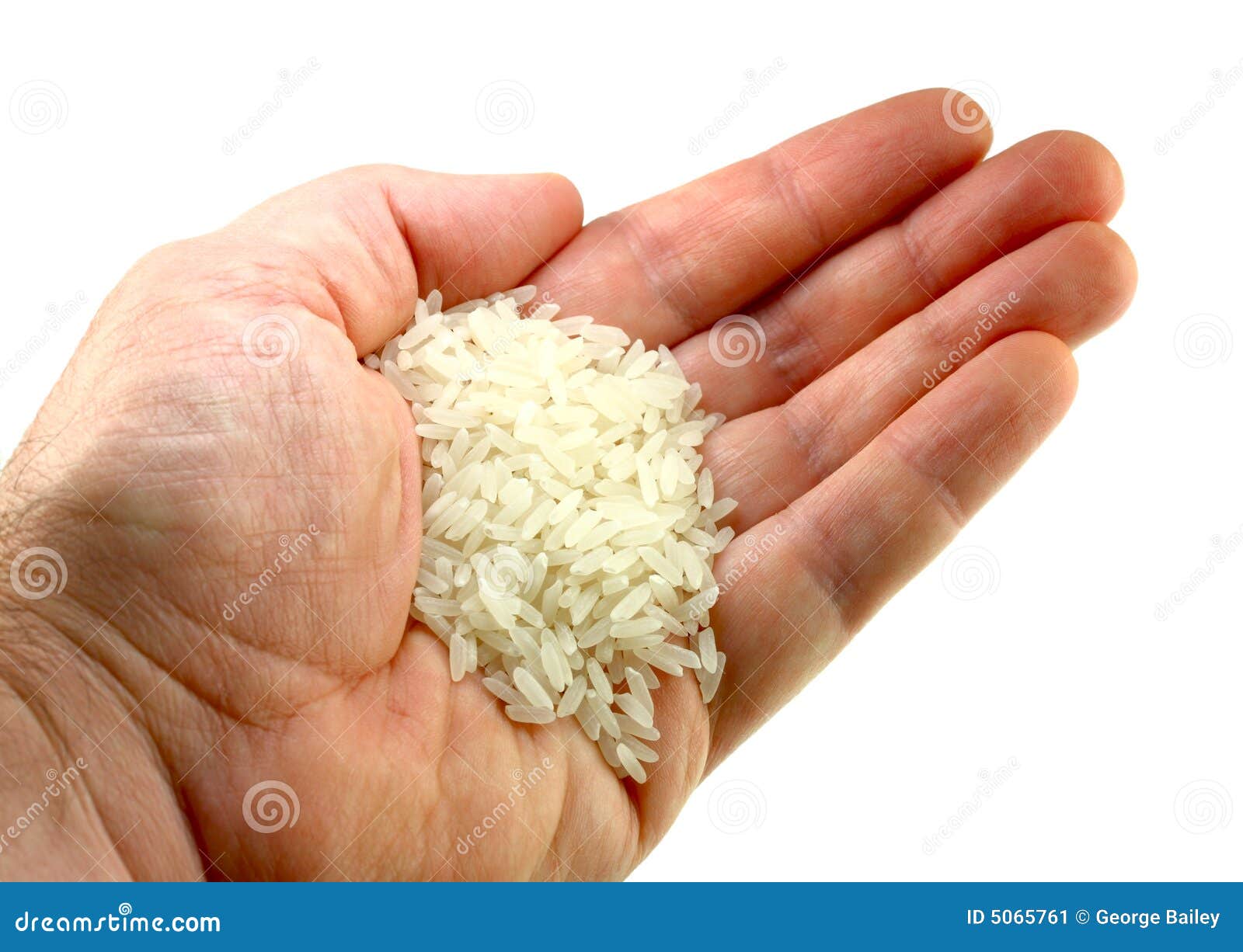 Rice in hand stock image. Image of macro, white, fingers - 5065761