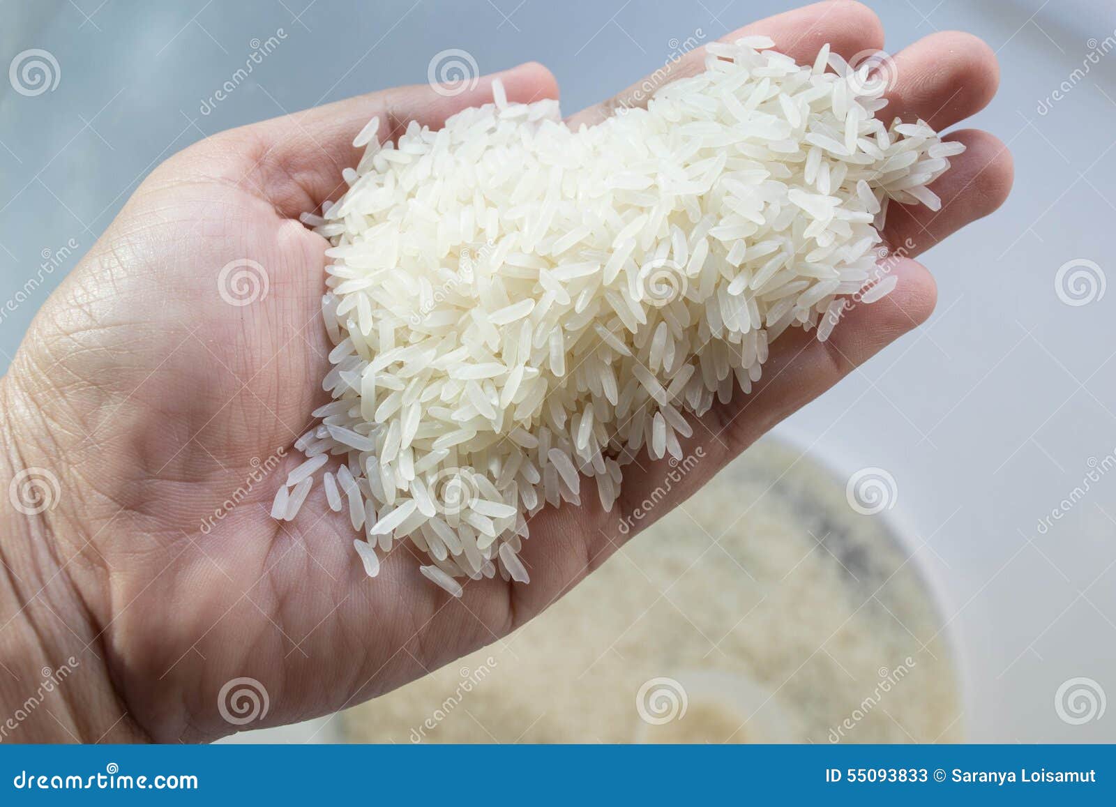 Rice in hand stock image. Image of industry, bordered - 55093833