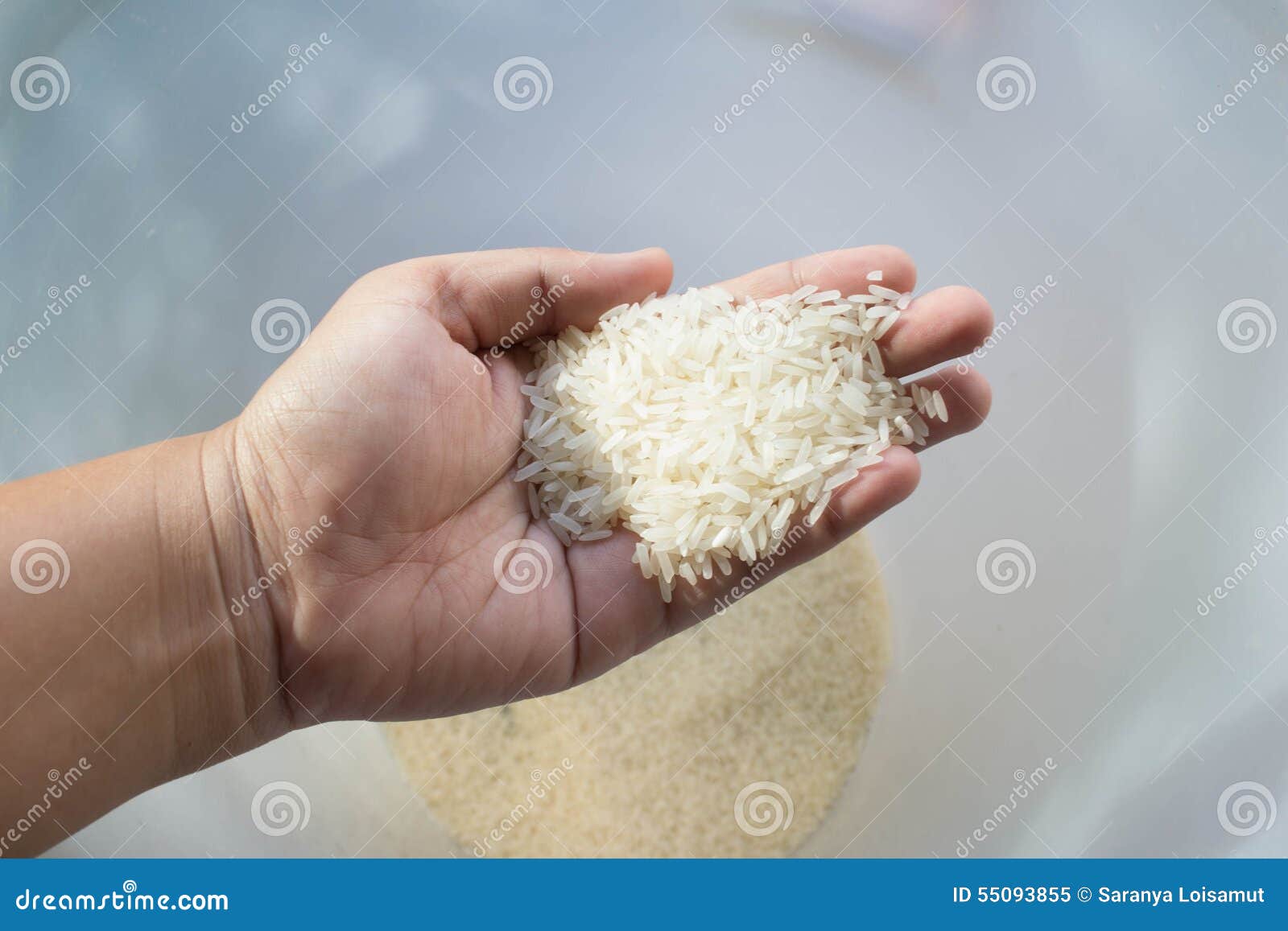 Rice in hand stock image. Image of handful, grain, healthy - 55093855