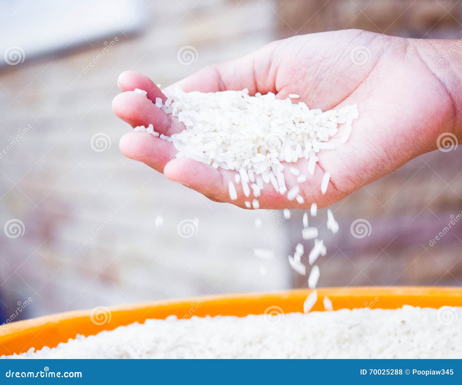 Rice and hand stock photo. Image of sellrice, buyrice - 70025288