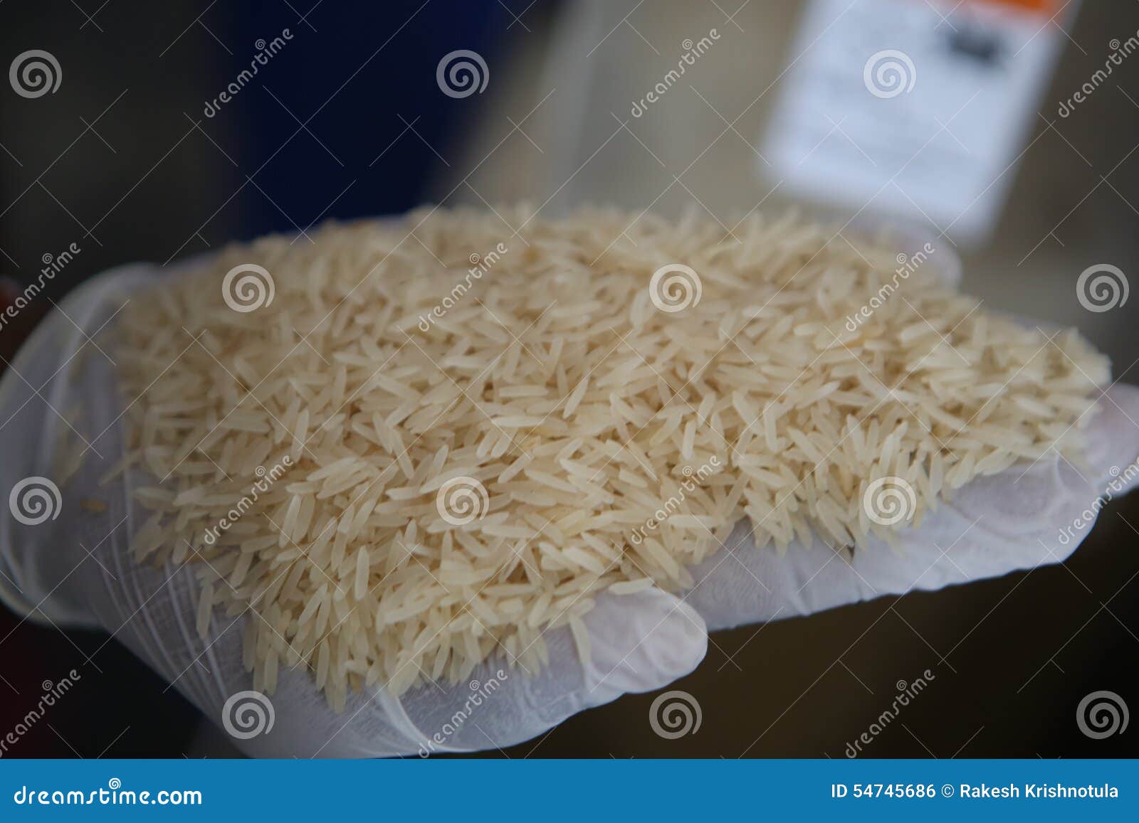 Rice on hand stock photo. Image of showcase, palm, rice - 54745686