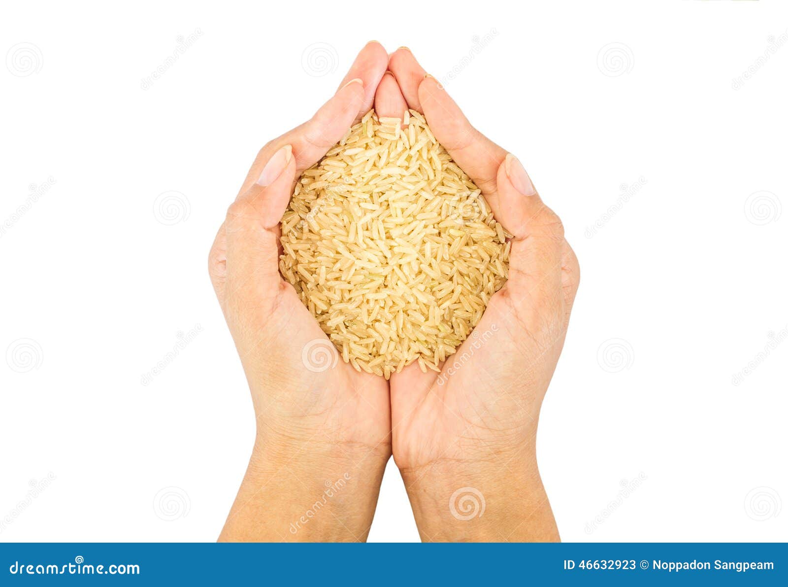 Rice in Hand in Isolate on White. Stock Image - Image of hunger ...