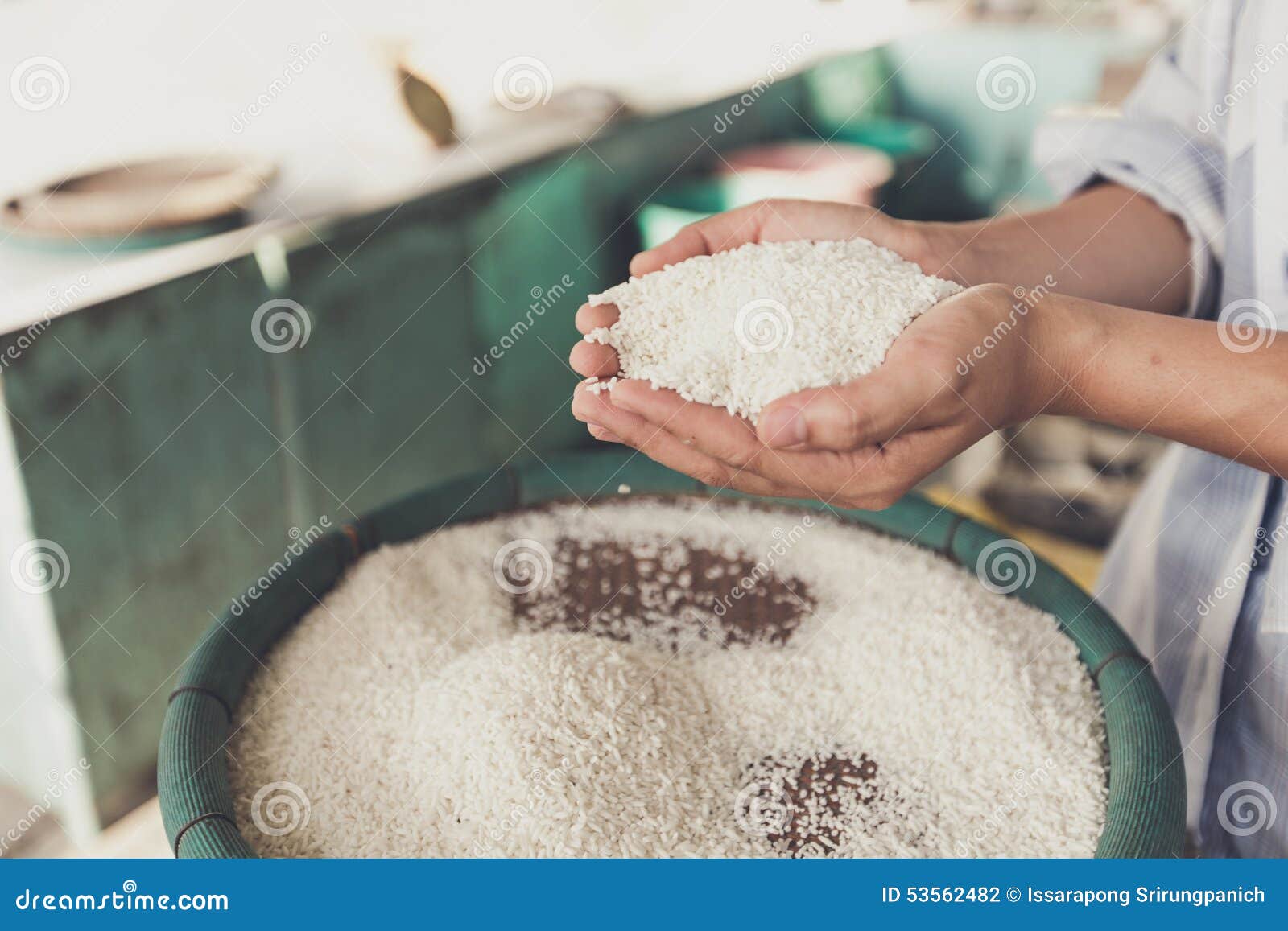 Rice in hand stock photo. Image of global, natural, hope - 53562482