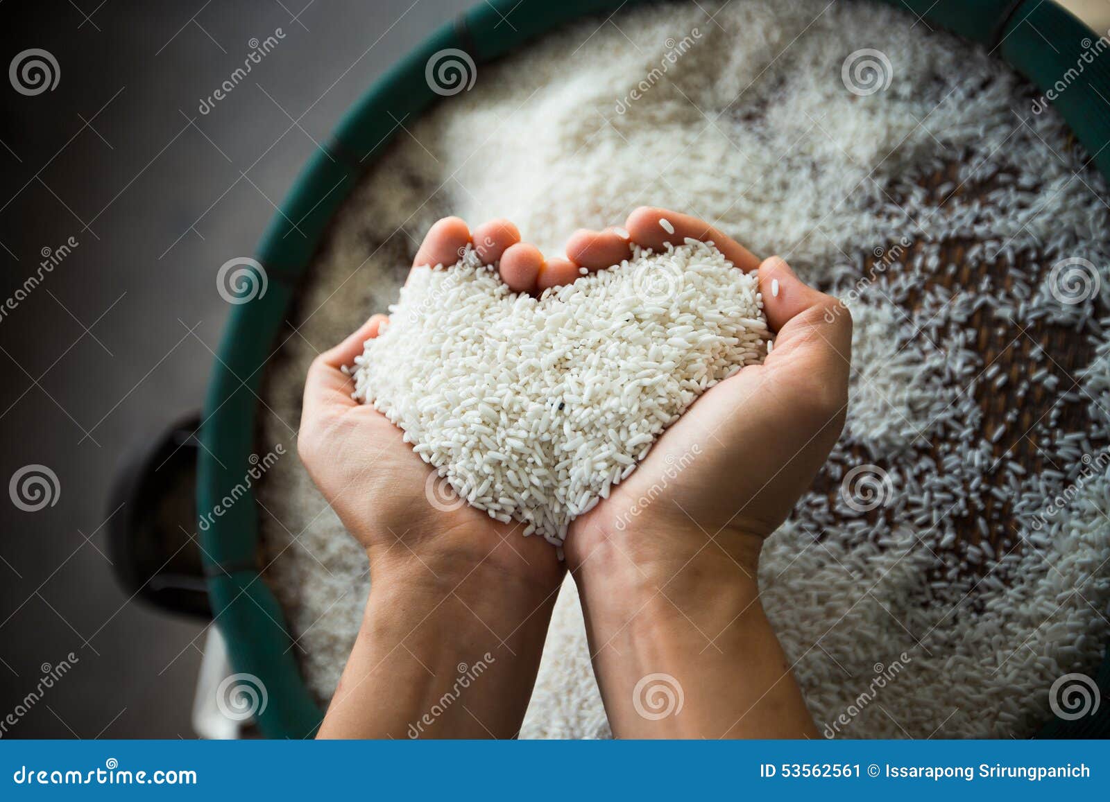 Rice in hand stock image. Image of nature, life, farm - 53562561