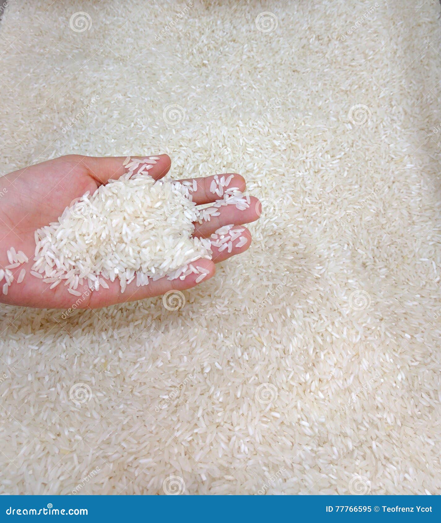 Rice stock image. Image of rice, holding, finger, sale - 77766595