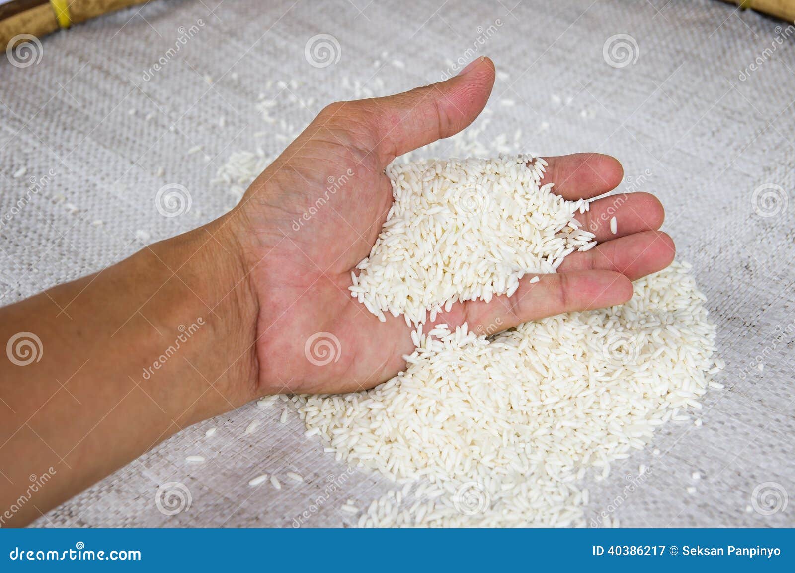Rice on hand stock image. Image of grain, economic, culture - 40386217