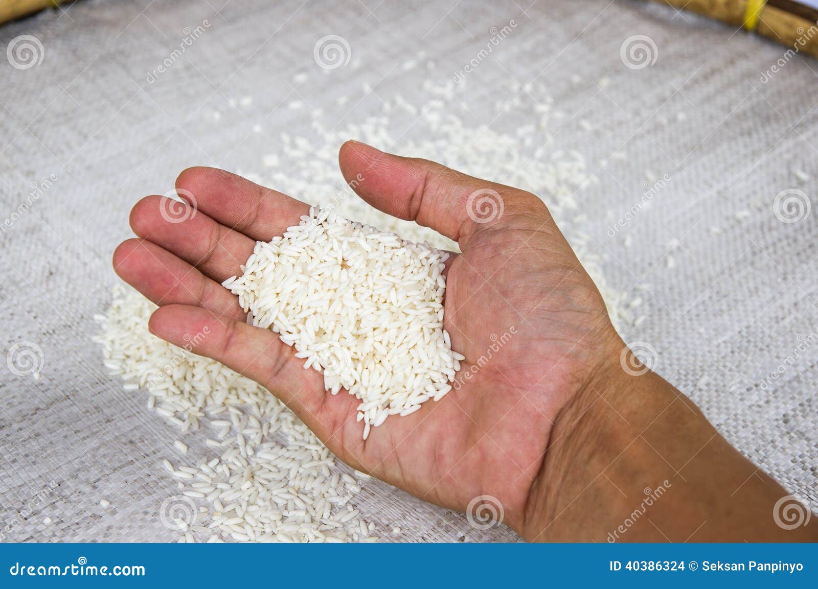 Rice on hand stock photo. Image of organic, agricultural - 40386324
