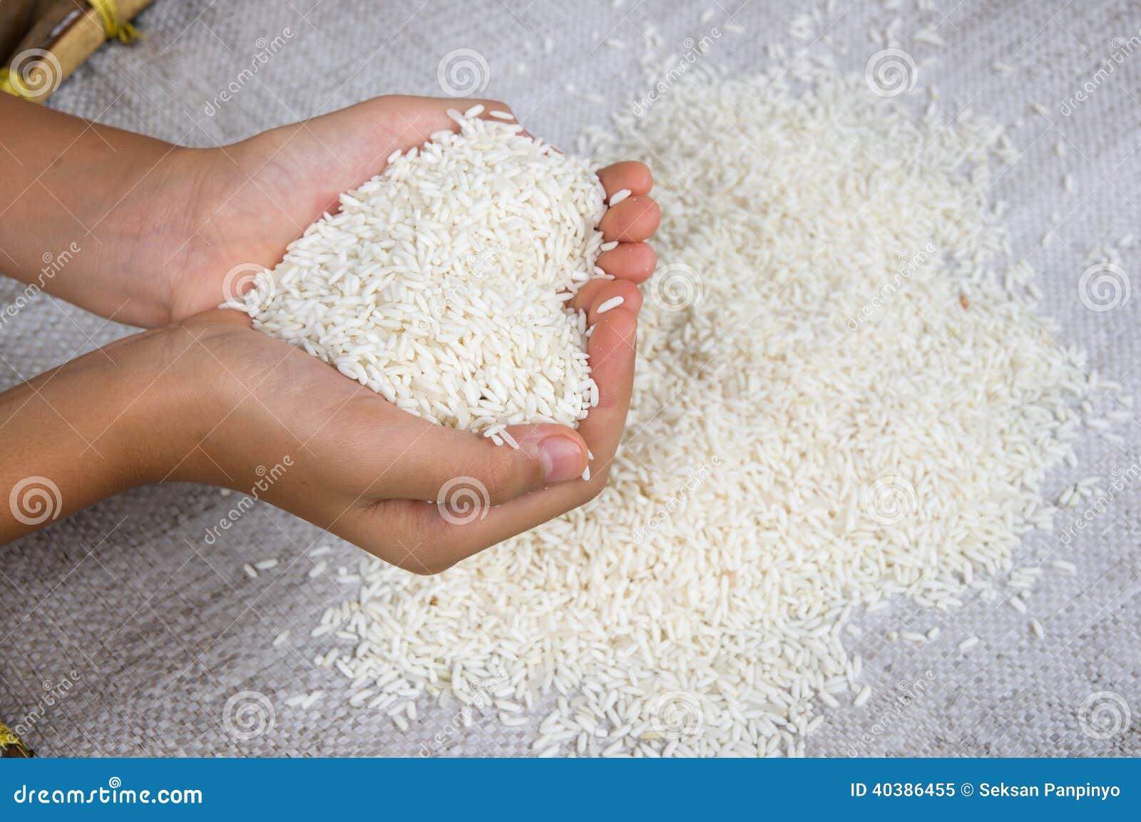 Rice on hand stock image. Image of fiber, crisis, handful - 40386455