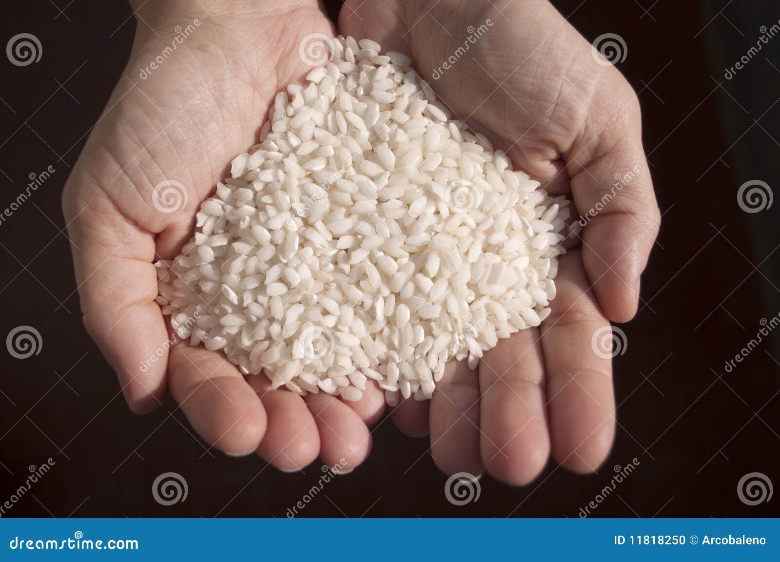 Rice in hands stock photo. Image of natural, grocery - 11818250