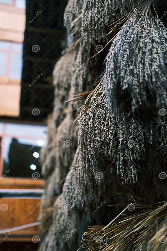 Rice Hanging from a Wooden Frame. Stock Image - Image of white, statue ...