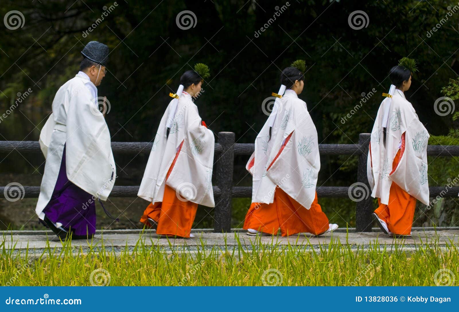 Rice harvest ceremony editorial photo. Image of traditional - 13828036