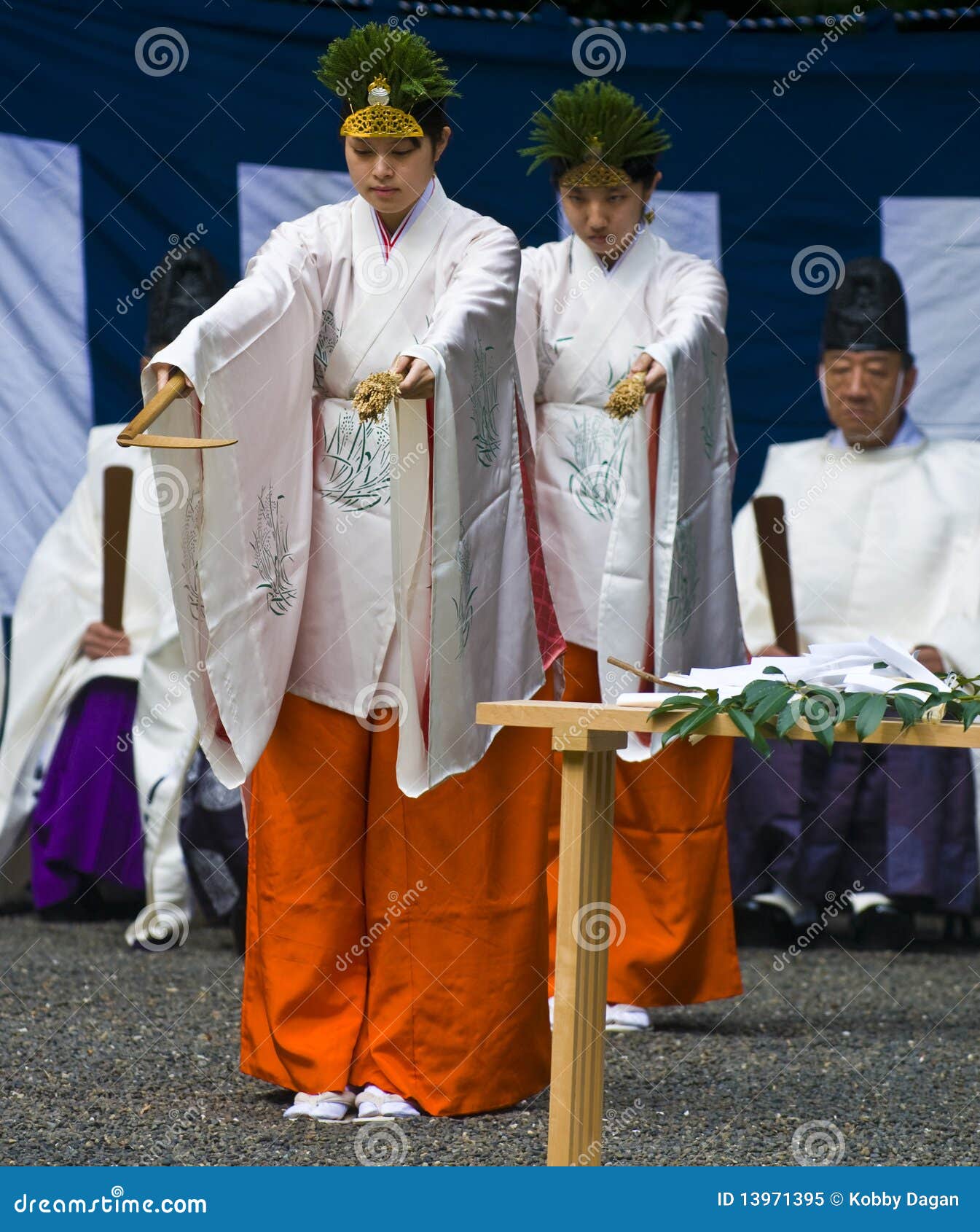 Rice harvest ceremony editorial image. Image of tradition - 13971395