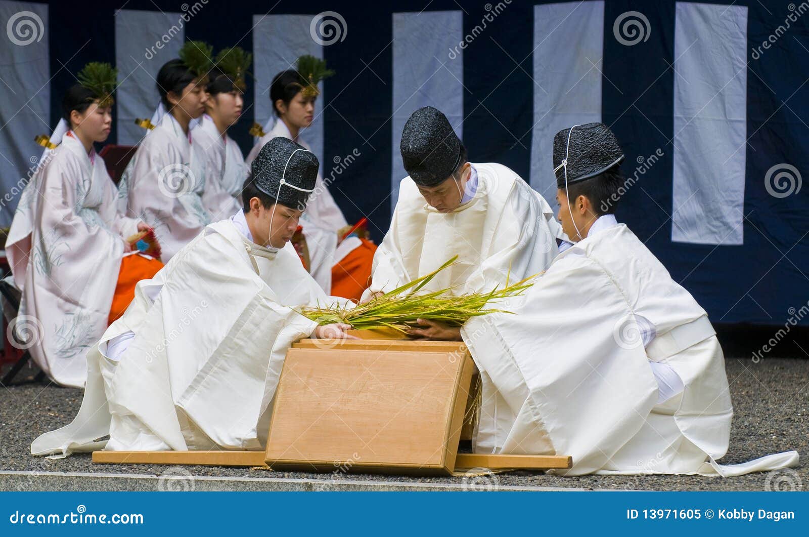 Rice harvest ceremony editorial image. Image of buddhist - 13971605