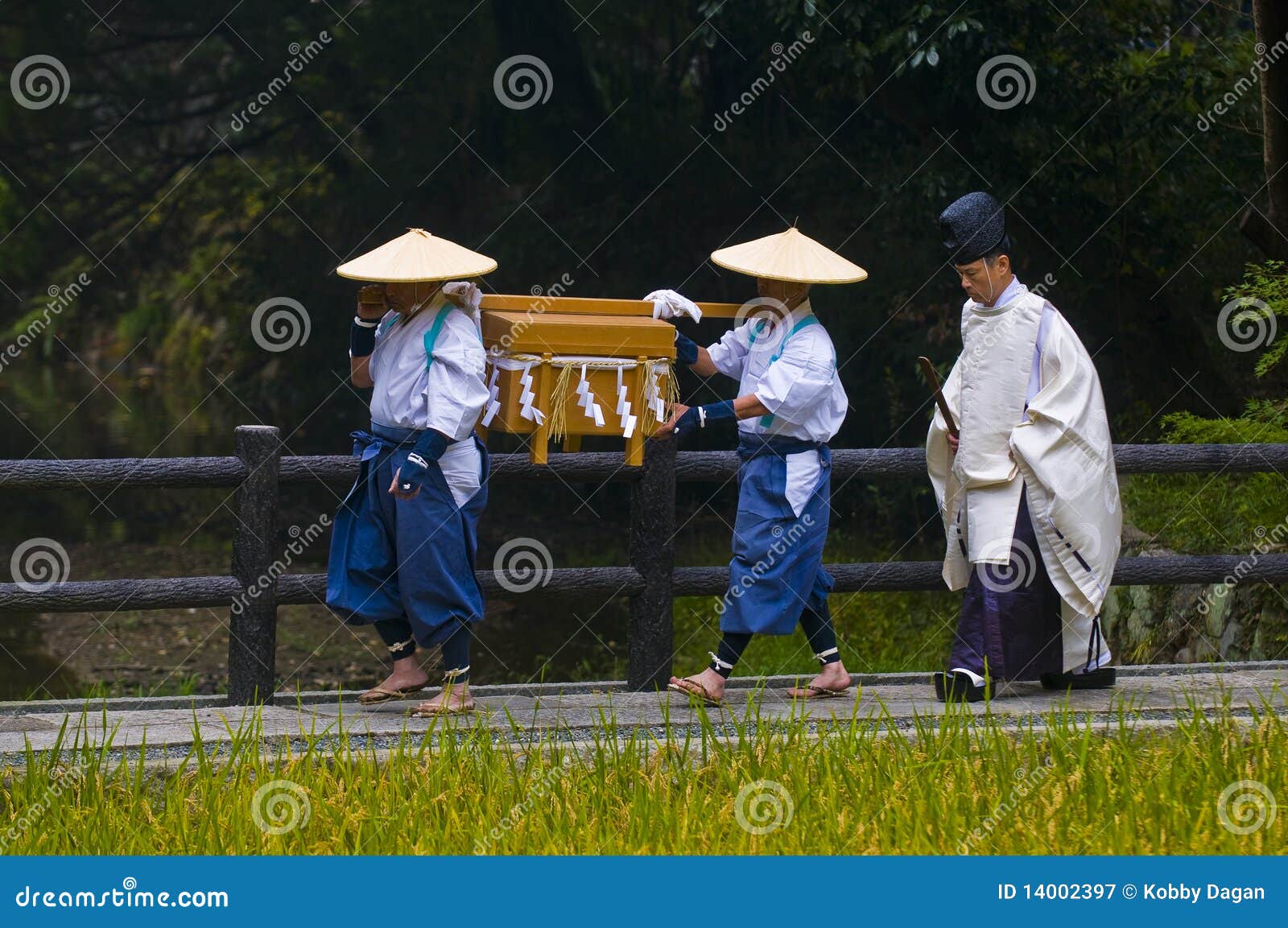 Rice harvest ceremony editorial photography. Image of event - 14002397